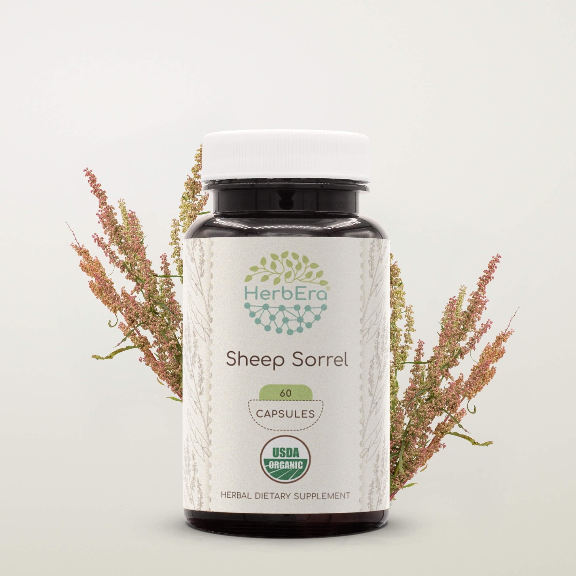 HerbEra Sheep Sorrel Capsules, Organic Herbal Dietary Supplement for ...