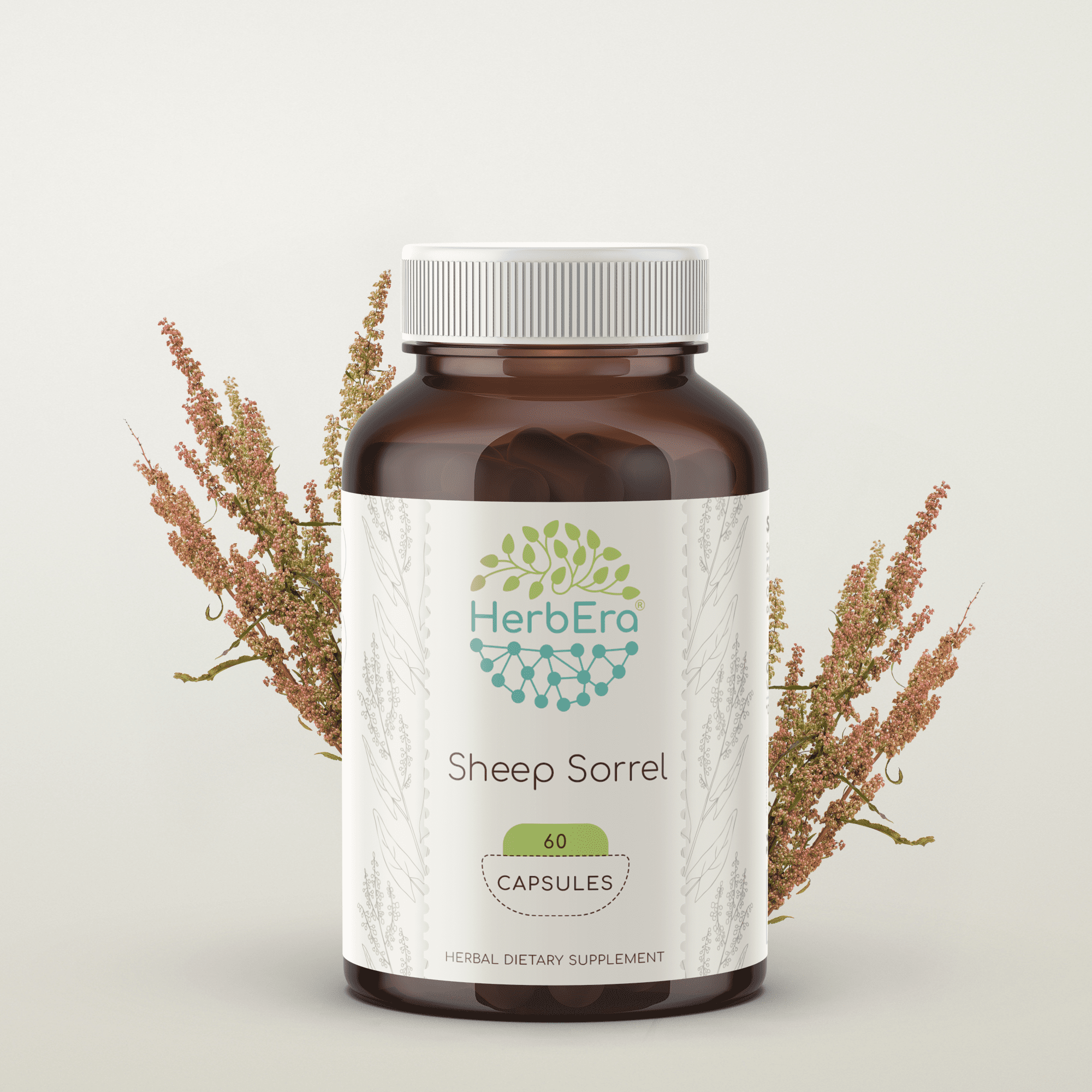 Sheep Sorrel 60 Capsules, 500 mg, Organic Sheep Sorrel (Rumex Acetosella) Dried Herb - Walmart.com