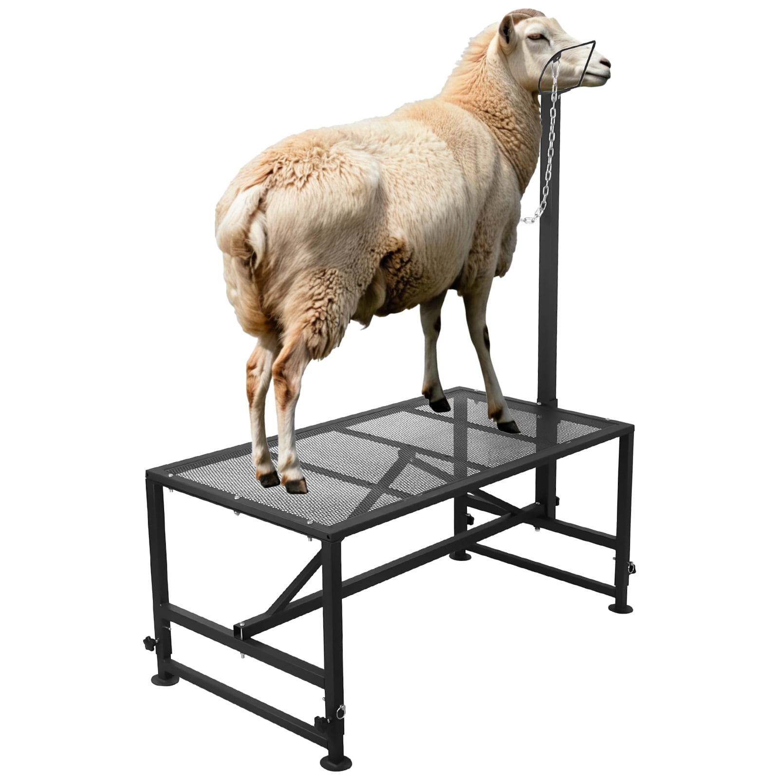 Sheep Trim Stand, 4 Step Height Control 20"-34", 500 lb Capacity, Iron ...