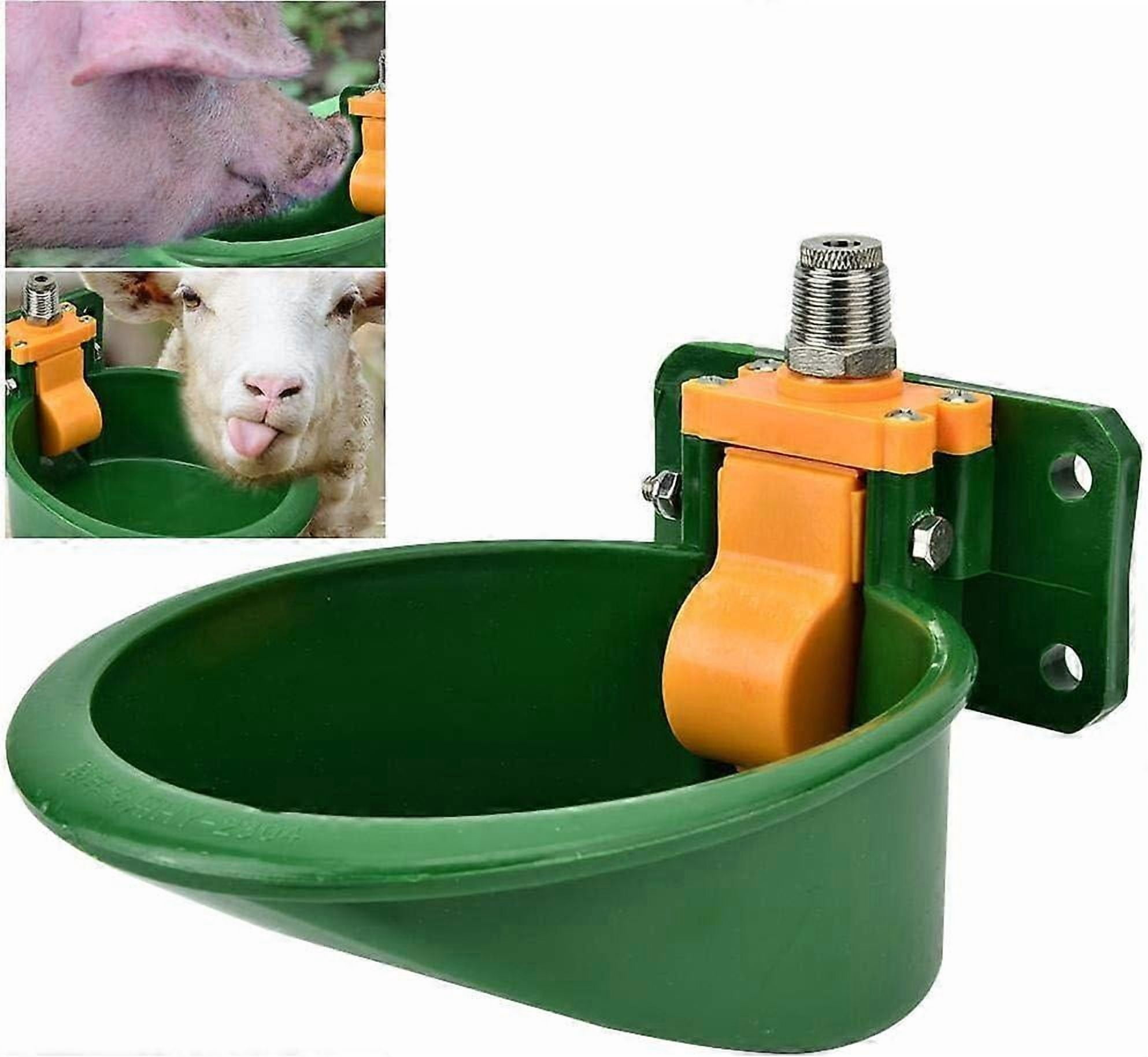 Sheep Water Bowl Automatic Pig Waterer Professional Livestock Cup Farm ...