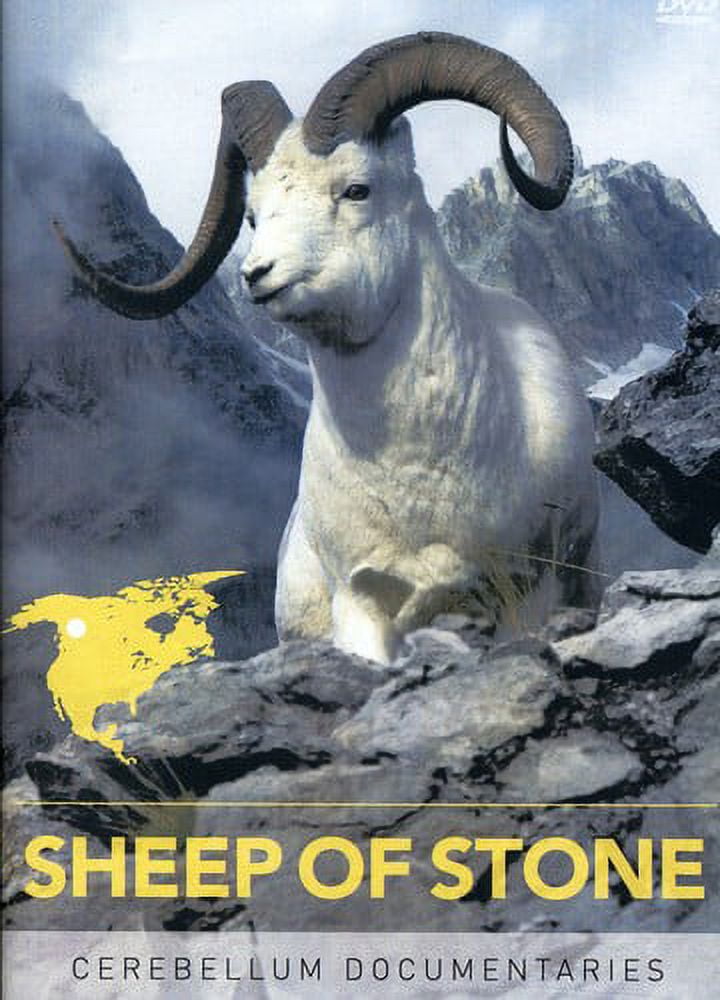 Sheep of Stone (DVD), Cerebellum Generic, Documentary - Walmart.com