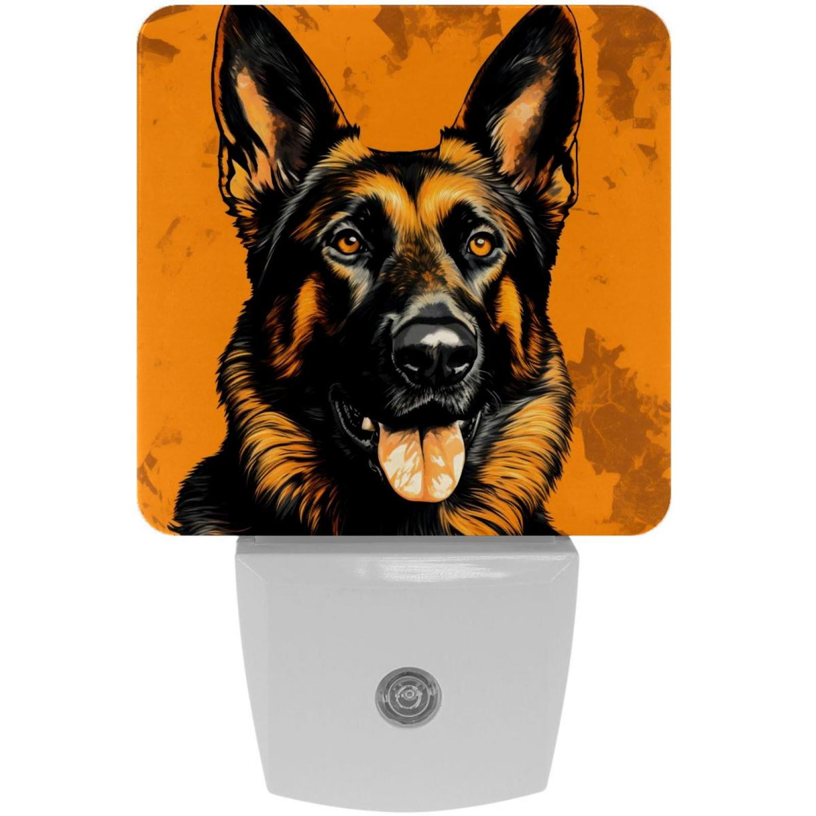 Sheepdog LED Square Night Lights: Compact and Energy-Efficient ...