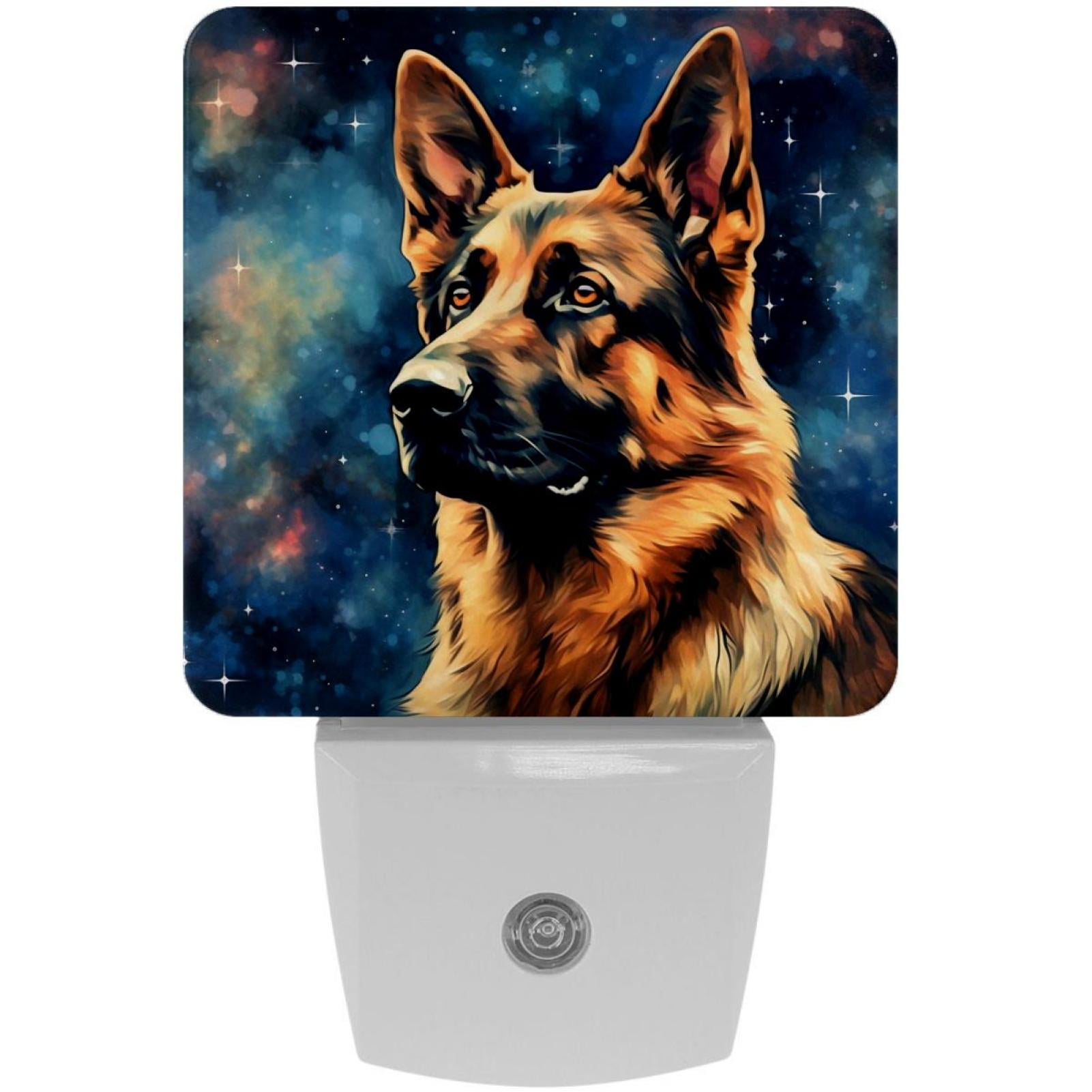 Sheepdog LED Square Night Lights: Compact and Energy-Efficient ...