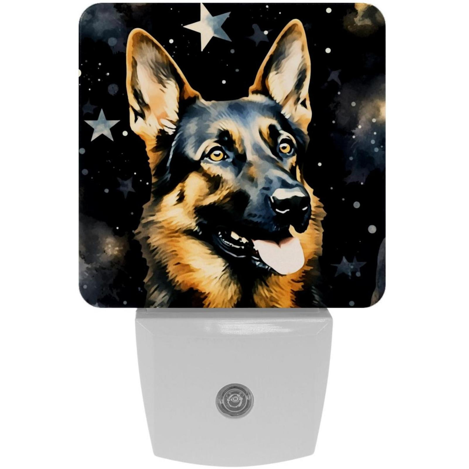 Sheepdog LED Square Night Lights: Compact and Energy-Efficient ...
