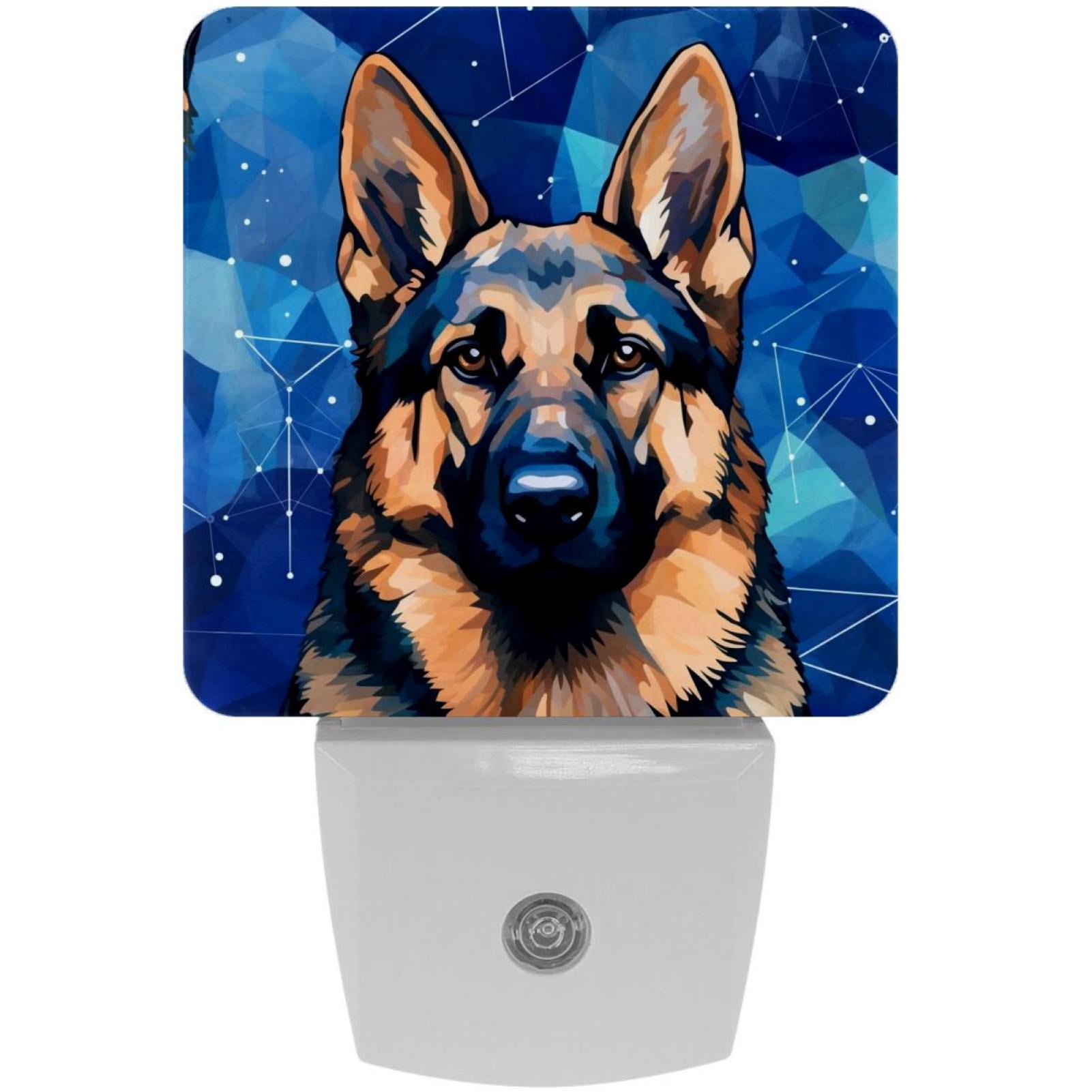 Sheepdog LED Square Night Lights: Innovative Illumination for a ...