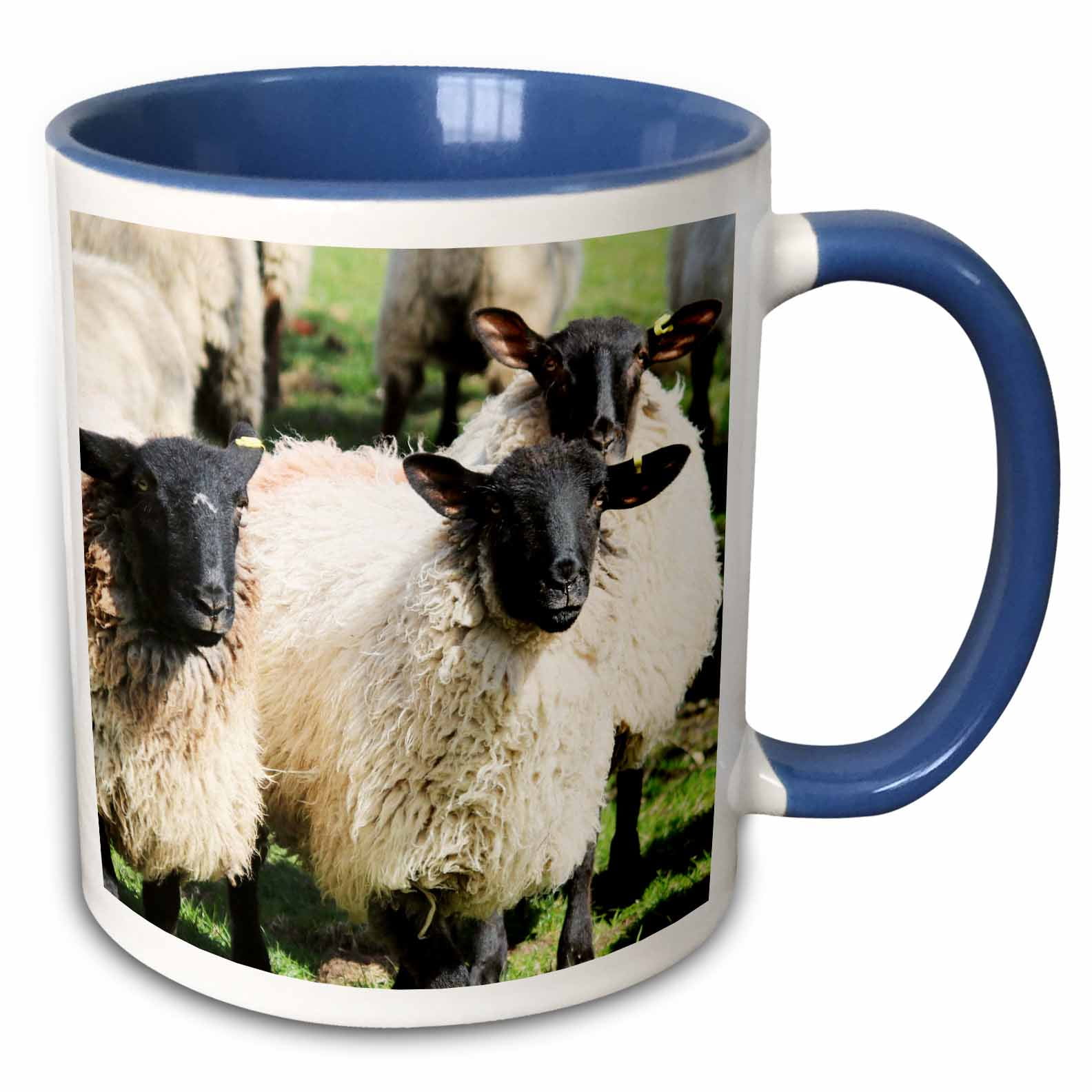 Sheeps. Black and white. Cute animals. 11oz Two-Tone Blue Mug mug ...