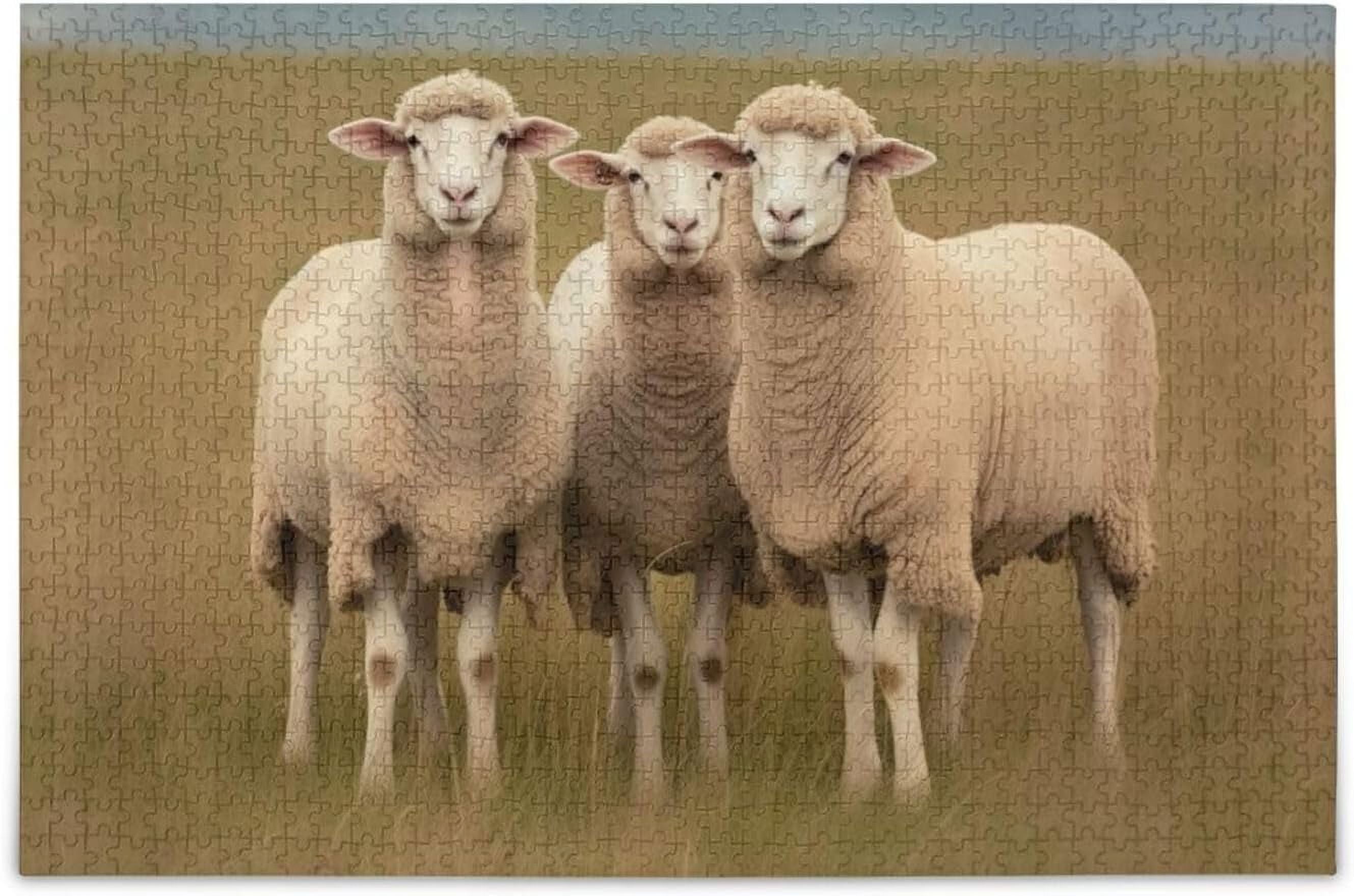 Sheeps in Field Jigsaw Puzzles 500 PiecesPuzzles for Adults Family Game ...