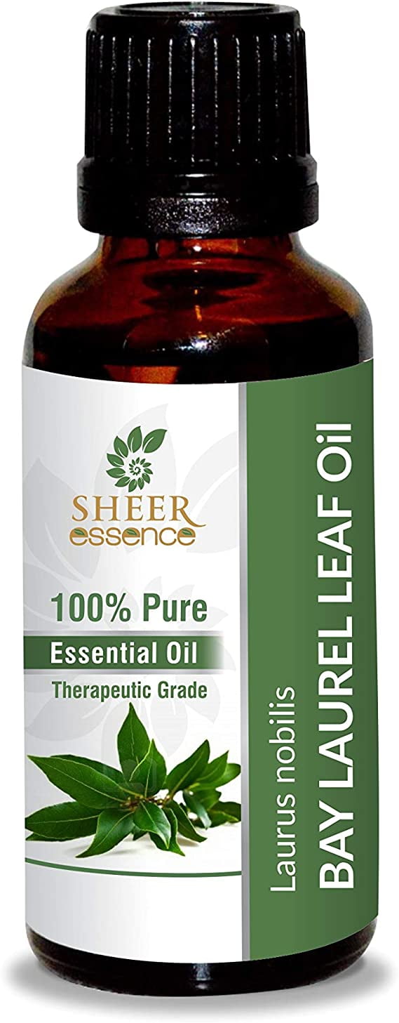 Sheer Essence Bay Laurel Leaf Essential Oil 500 ML (16.9 fl. oz) 100% Pure, Natural, Therapeutic ...