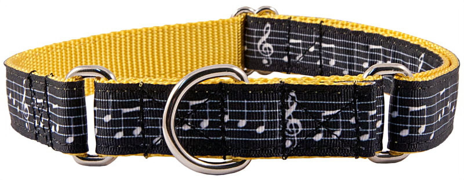 Sheet Music on Gold Grosgrain Ribbon Martingale Collar, Medium ...