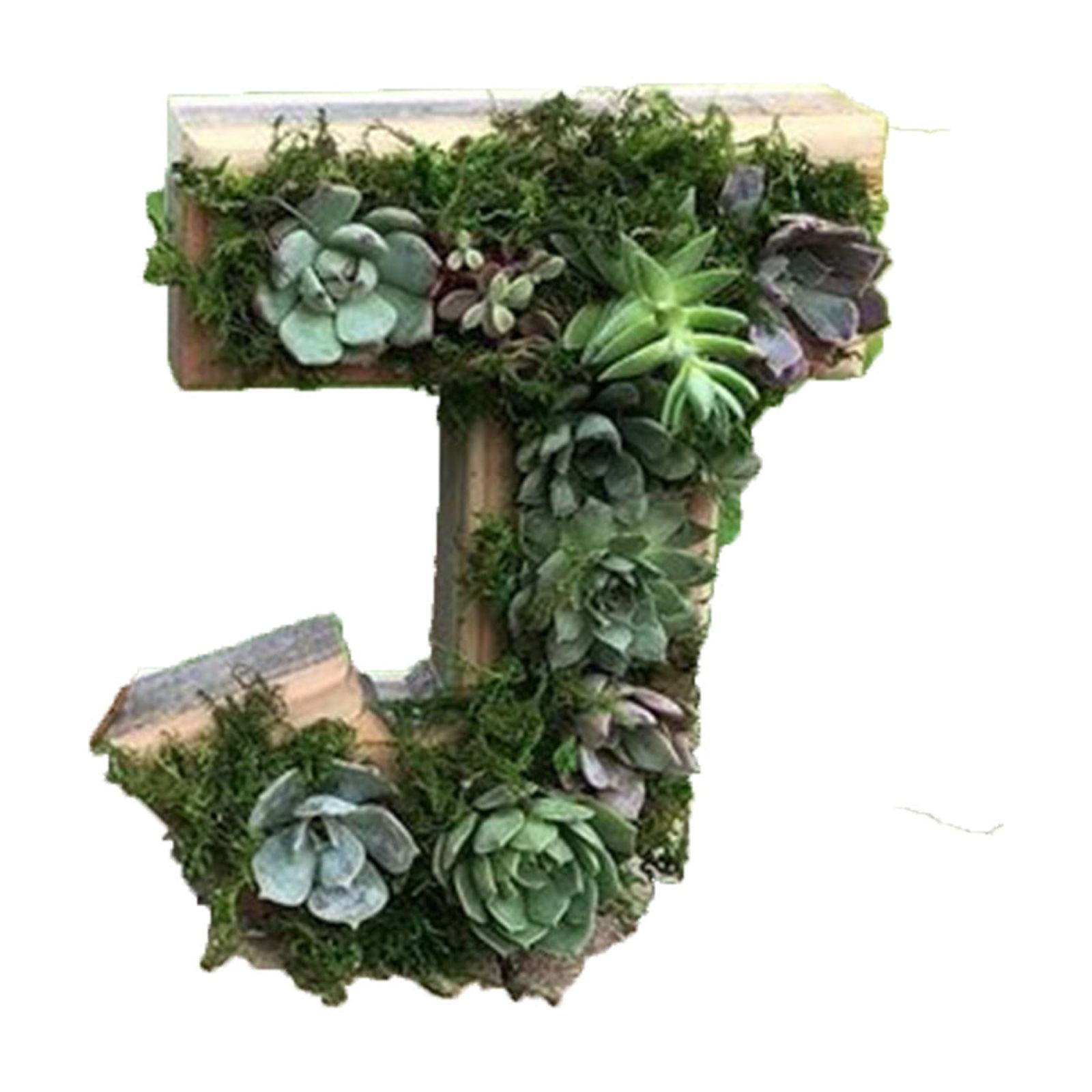 Sheghy Home Decor Aesthetic Alphabet Succulent Flower Bed Green ...