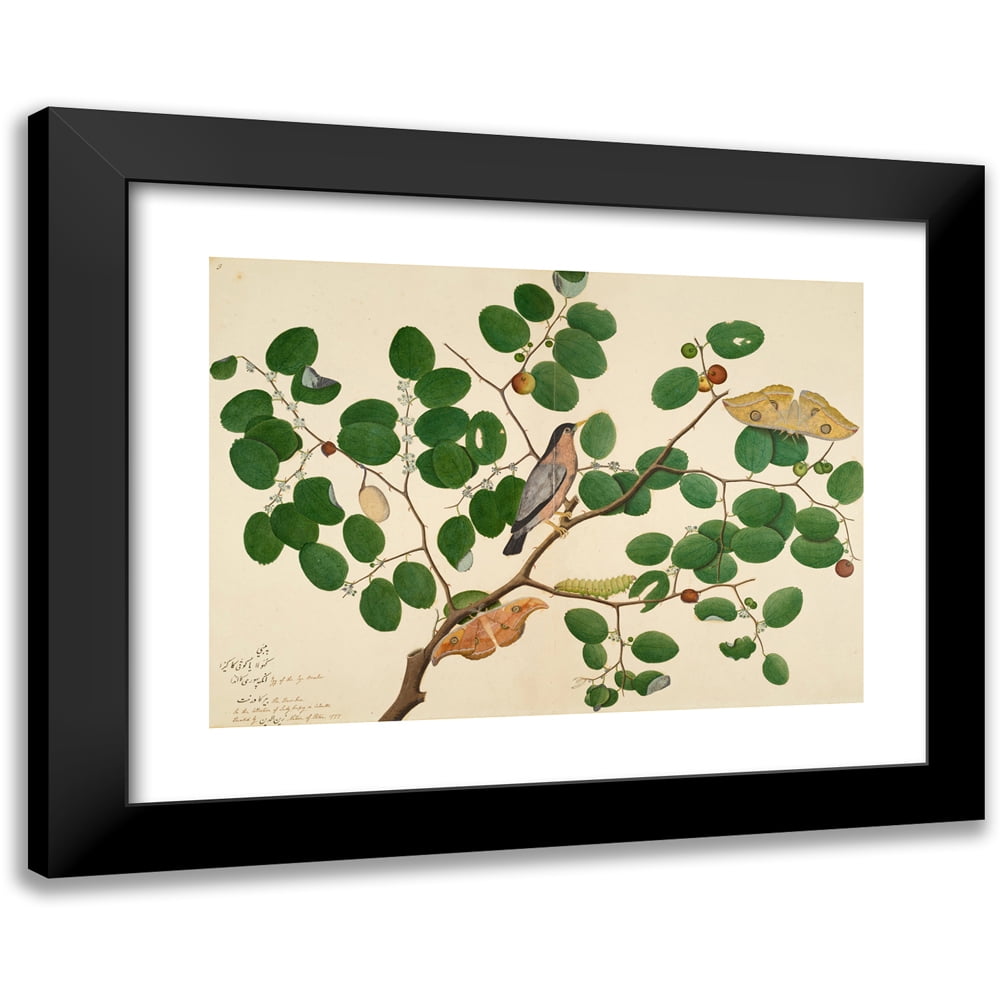 Sheikh Zain al-Din 14x11 Black Modern Framed Museum Art Print Titled ...