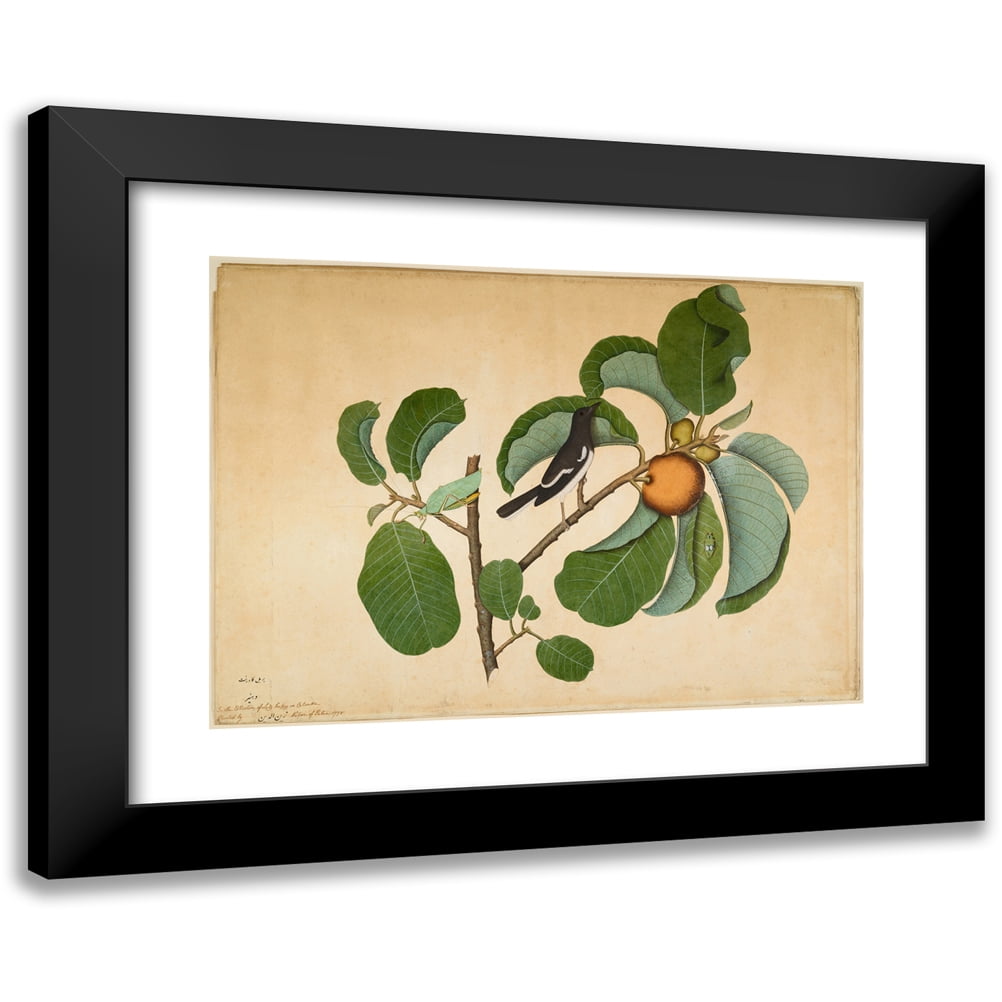 Sheikh Zain al-Din 14x11 Black Modern Framed Museum Art Print Titled ...