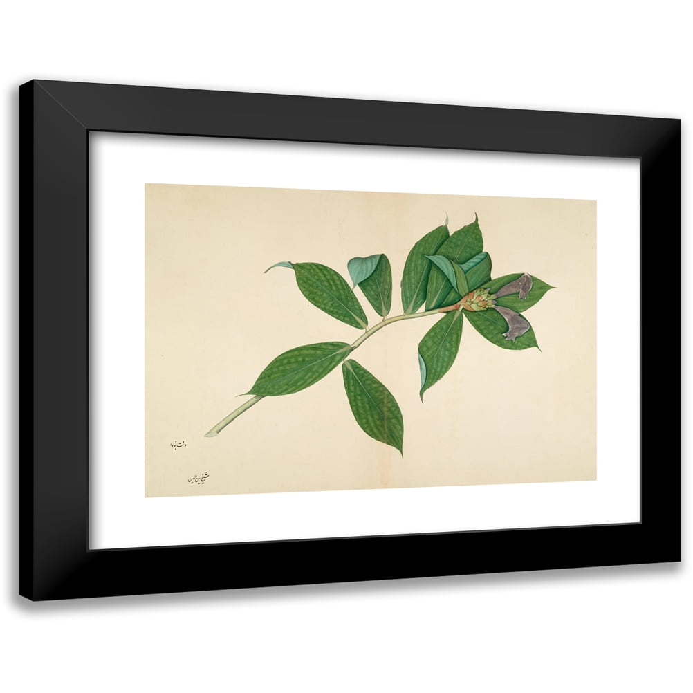 Sheikh Zain al-Din 18x14 Black Modern Framed Museum Art Print Titled ...