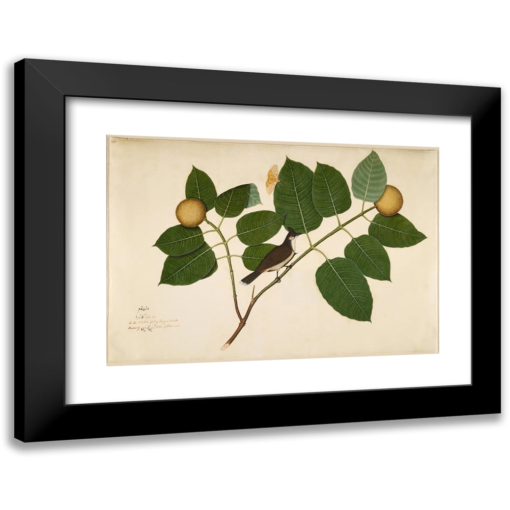 Sheikh Zain al-Din 18x14 Black Modern Framed Museum Art Print Titled ...