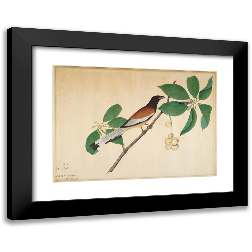 Sheikh Zain al-Din 18x14 Black Modern Framed Museum Art Print Titled ...
