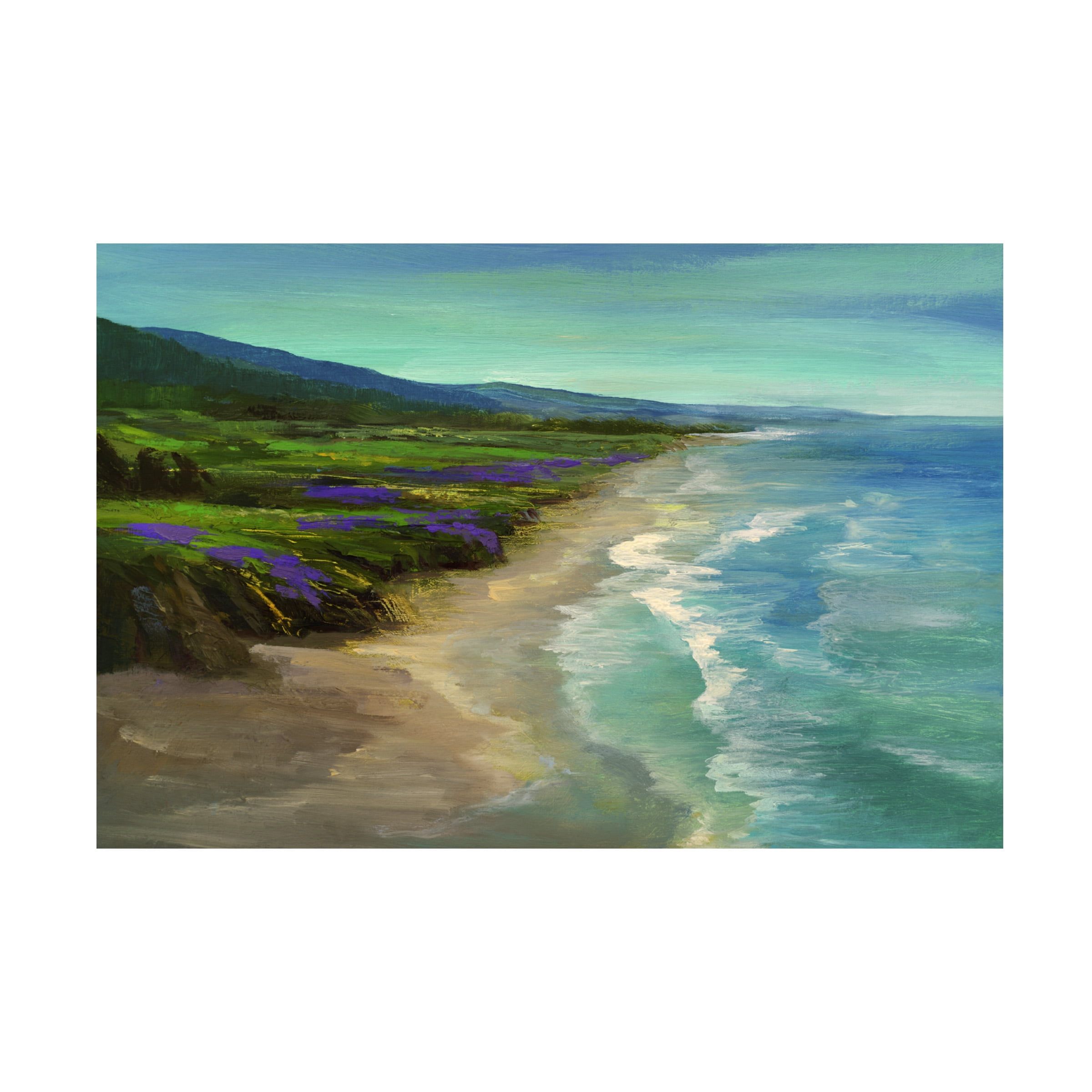Sheila Finch 'Montara Beach' Canvas Art - Walmart.com