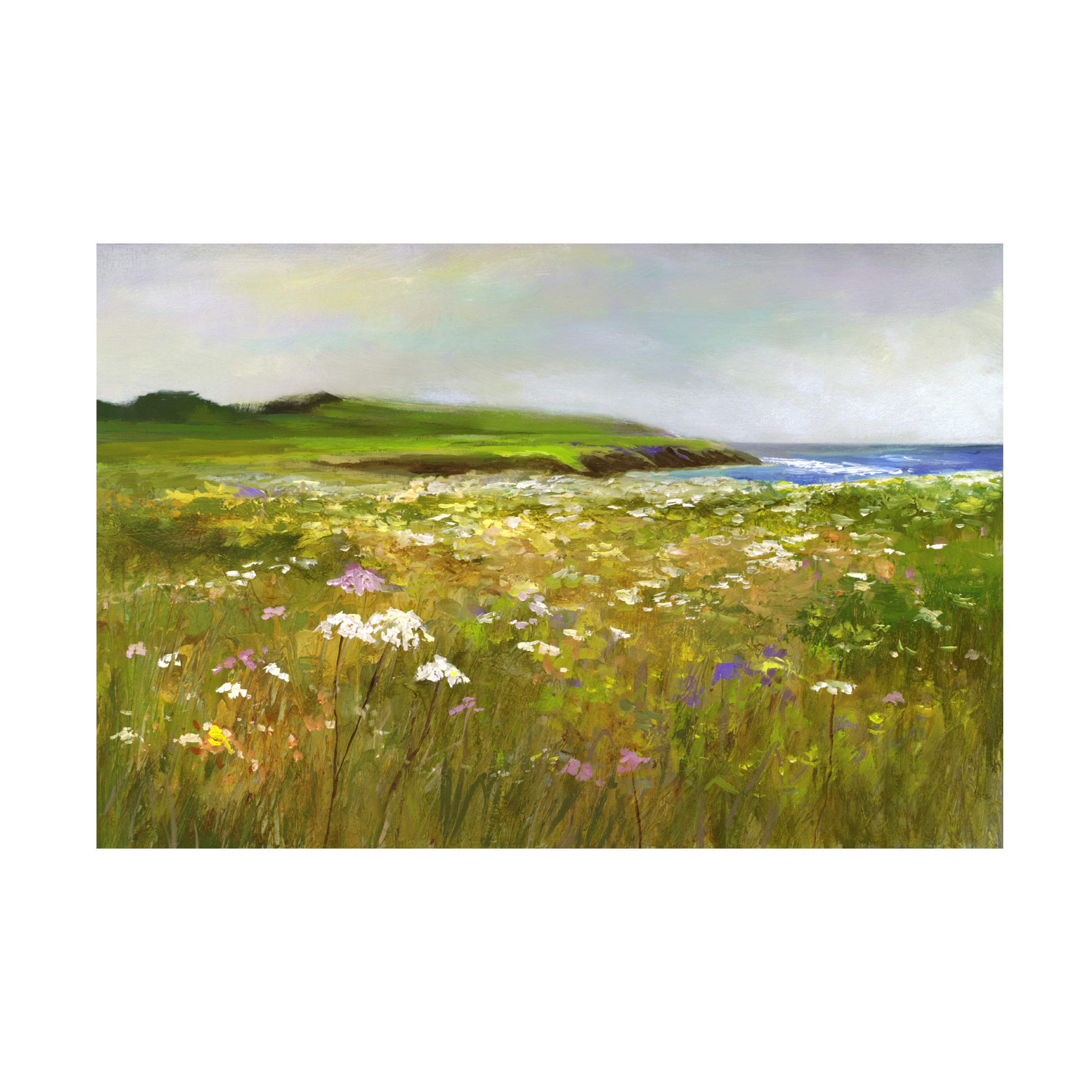 Sheila Finch Montara Bluffs Canvas - Modern Landscape Print - Walmart.com