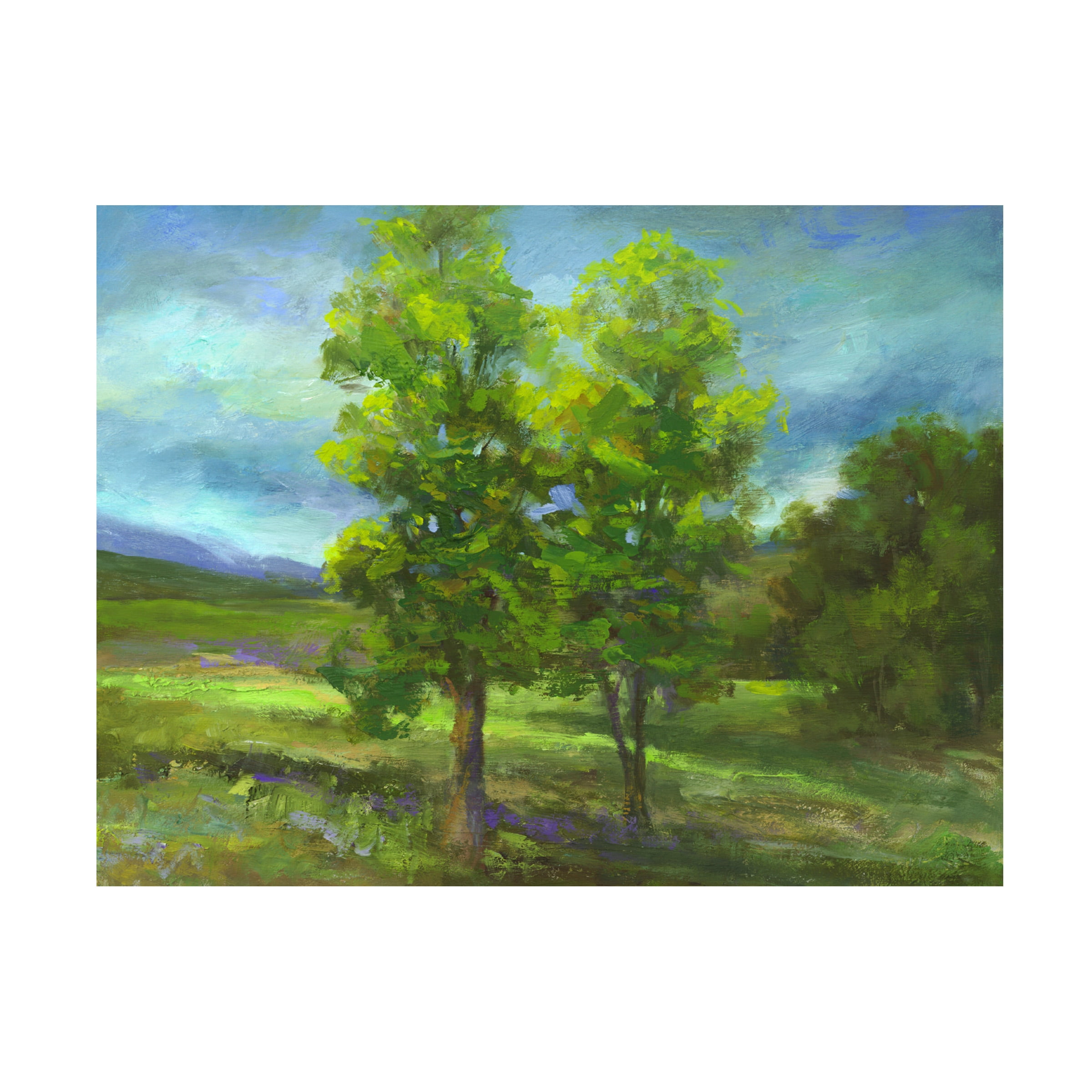 Sheila Finch 'Two Sisters' Canvas Art - Walmart.com