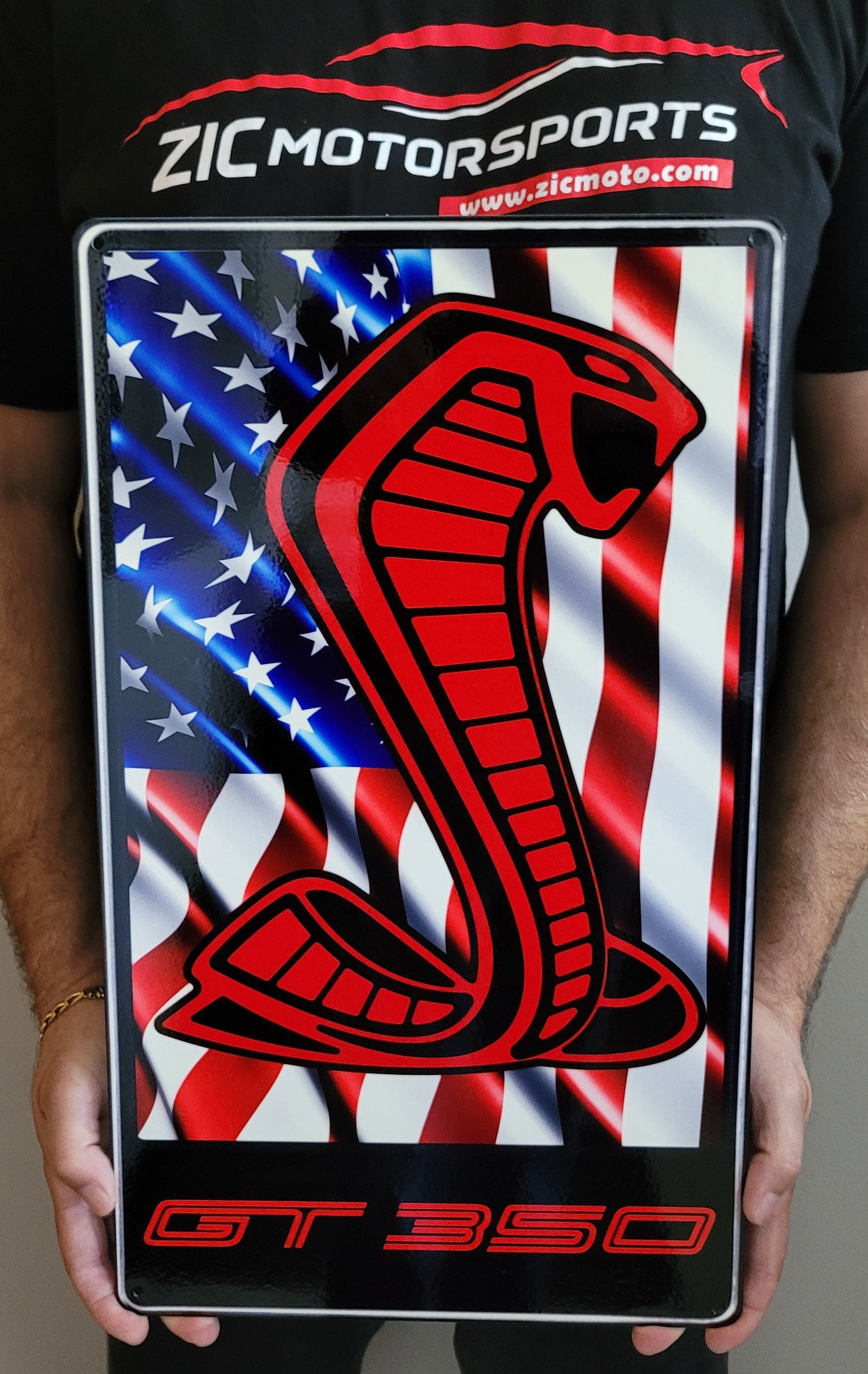 Shelby GT350 USA Red Steel Sign - Walmart.com