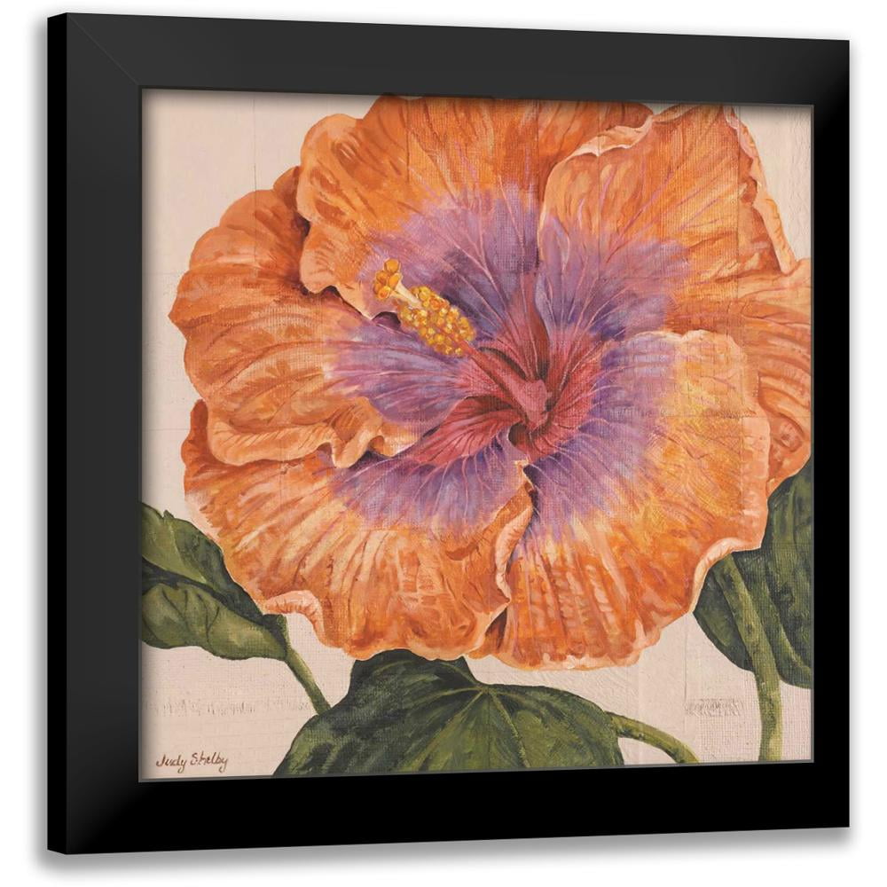 Shelby, Judy 20x20 Black Modern Framed Museum Art Print Titled - Island Hibiscus II - Walmart.com