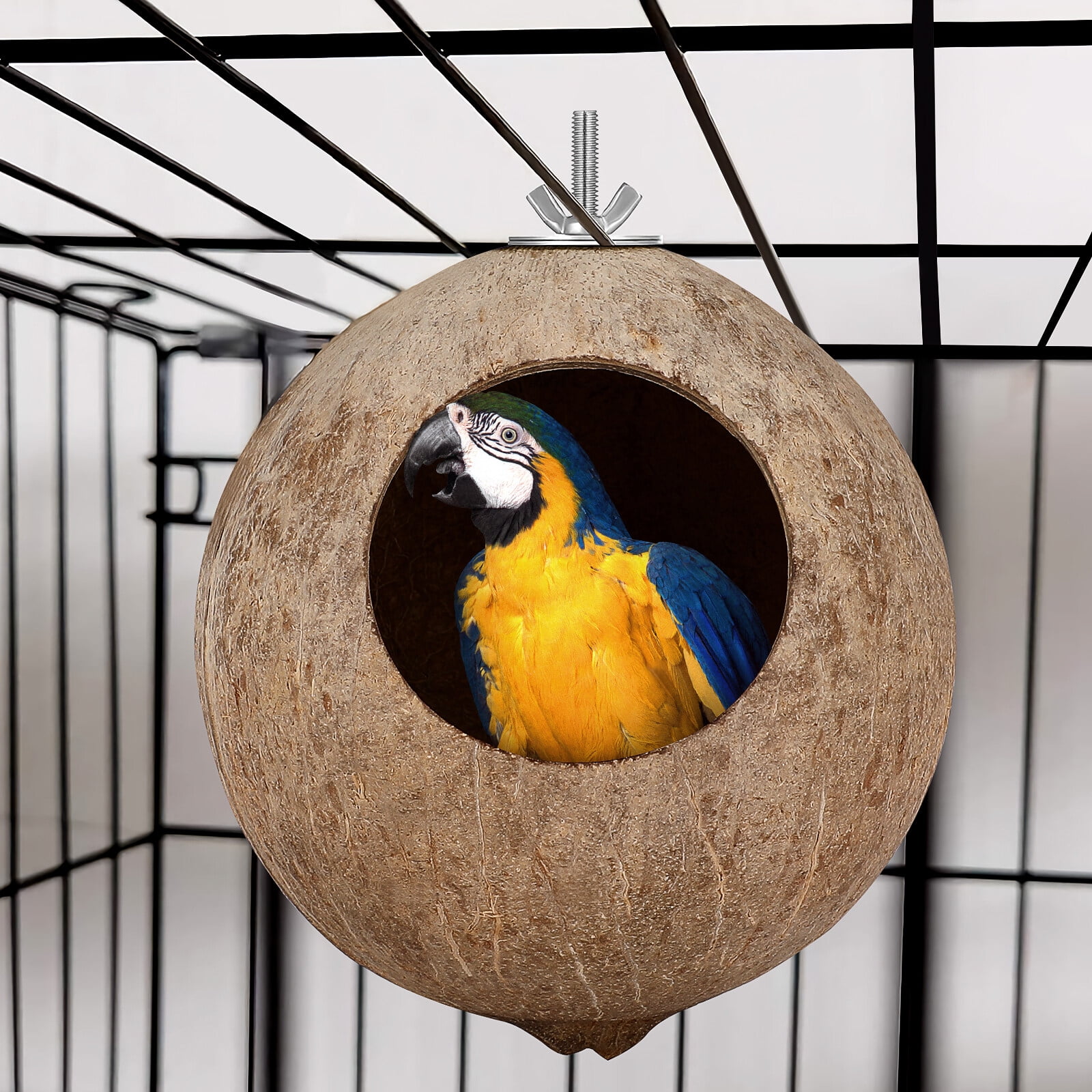 Shell Birds Nest- Natural Shell Bird Nest Keep Warm House Hut Cage for ...