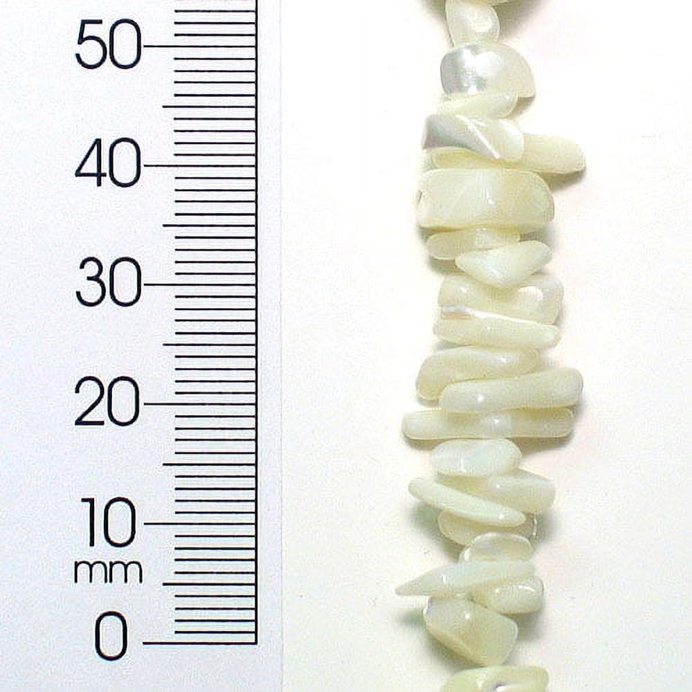 Shell Chips - Natural - 2 x 8" Strand - Walmart.com