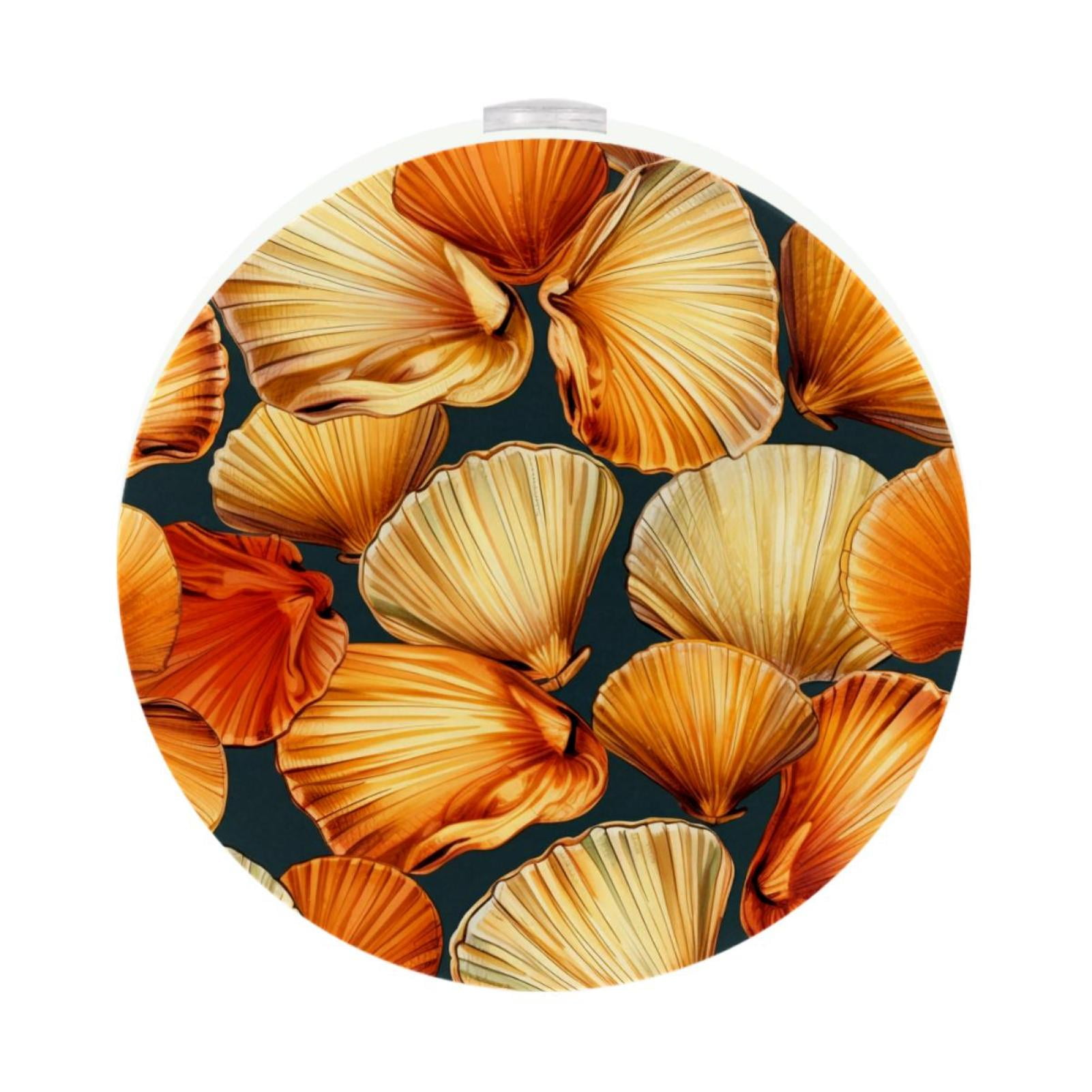 Shell Circular Night Light - 2 Packs LED Induction Control Wall Night ...