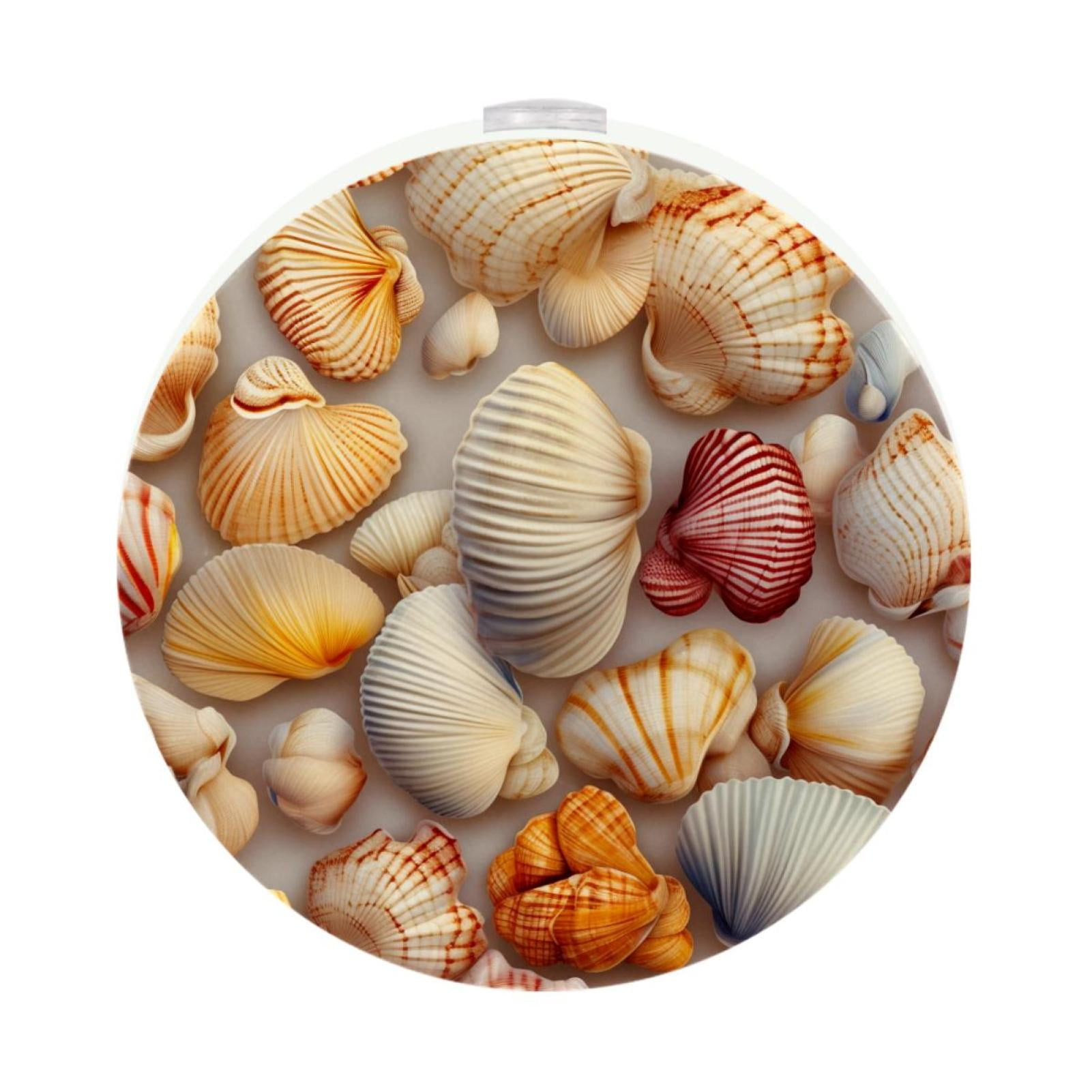 Shell Circular Night Lights - 2 Pack Small LED Lights for Wall ...