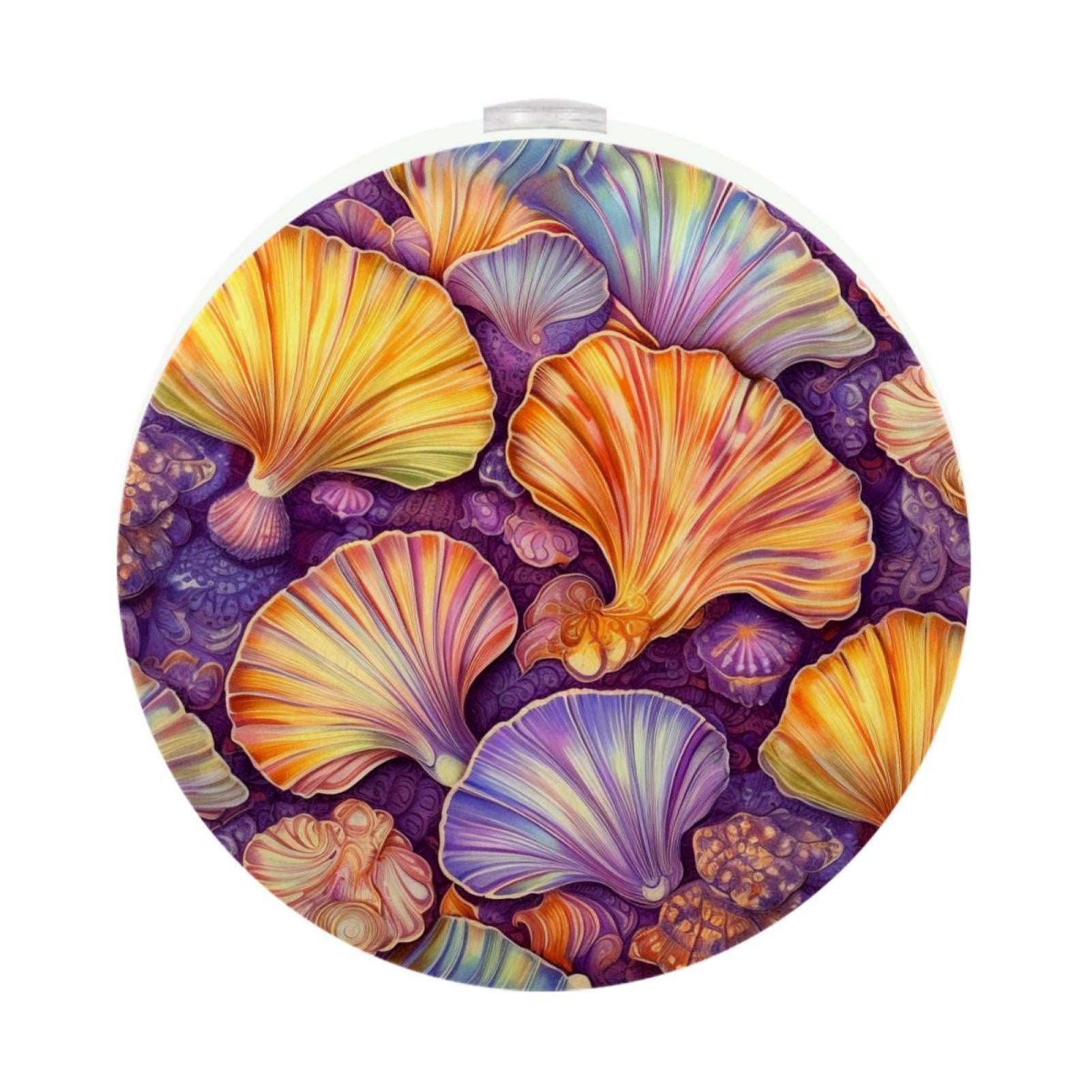 Shell Circular Night Lights – Pack of Two, LED Chip, Induction Light ...