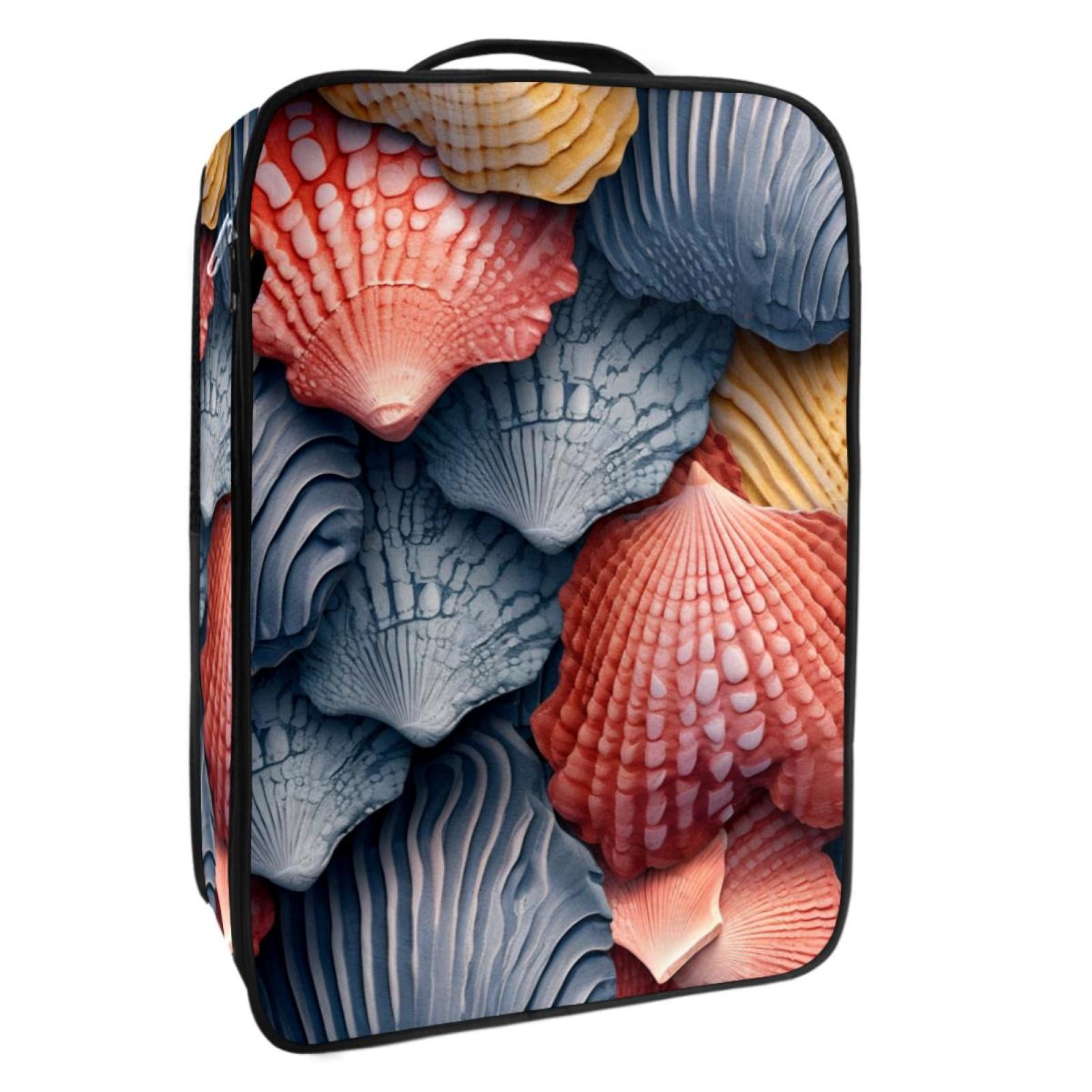 Shell Clear Polyester Shoe Containers - - 23x31cm/9x12in Shoe Storage ...