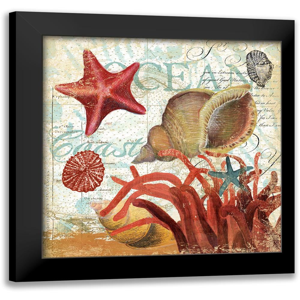 Shell Collector 1I 15x15 Black Modern Framed Museum Art Print Titled ...