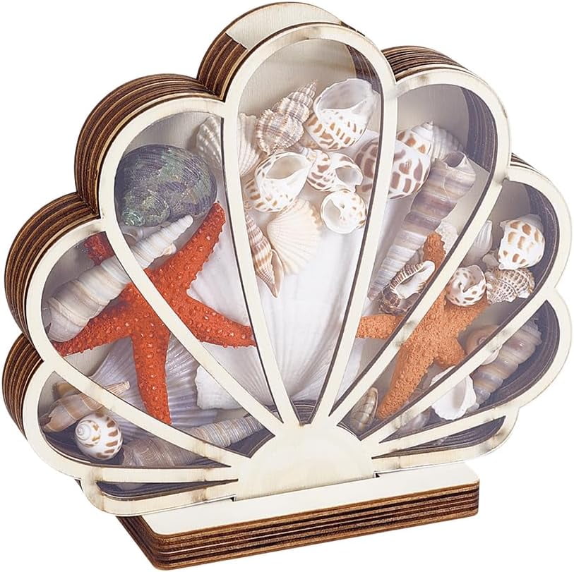 Shell Display Case 7.8x7 inch Wooden Seashell Shadow Box with Clear ...