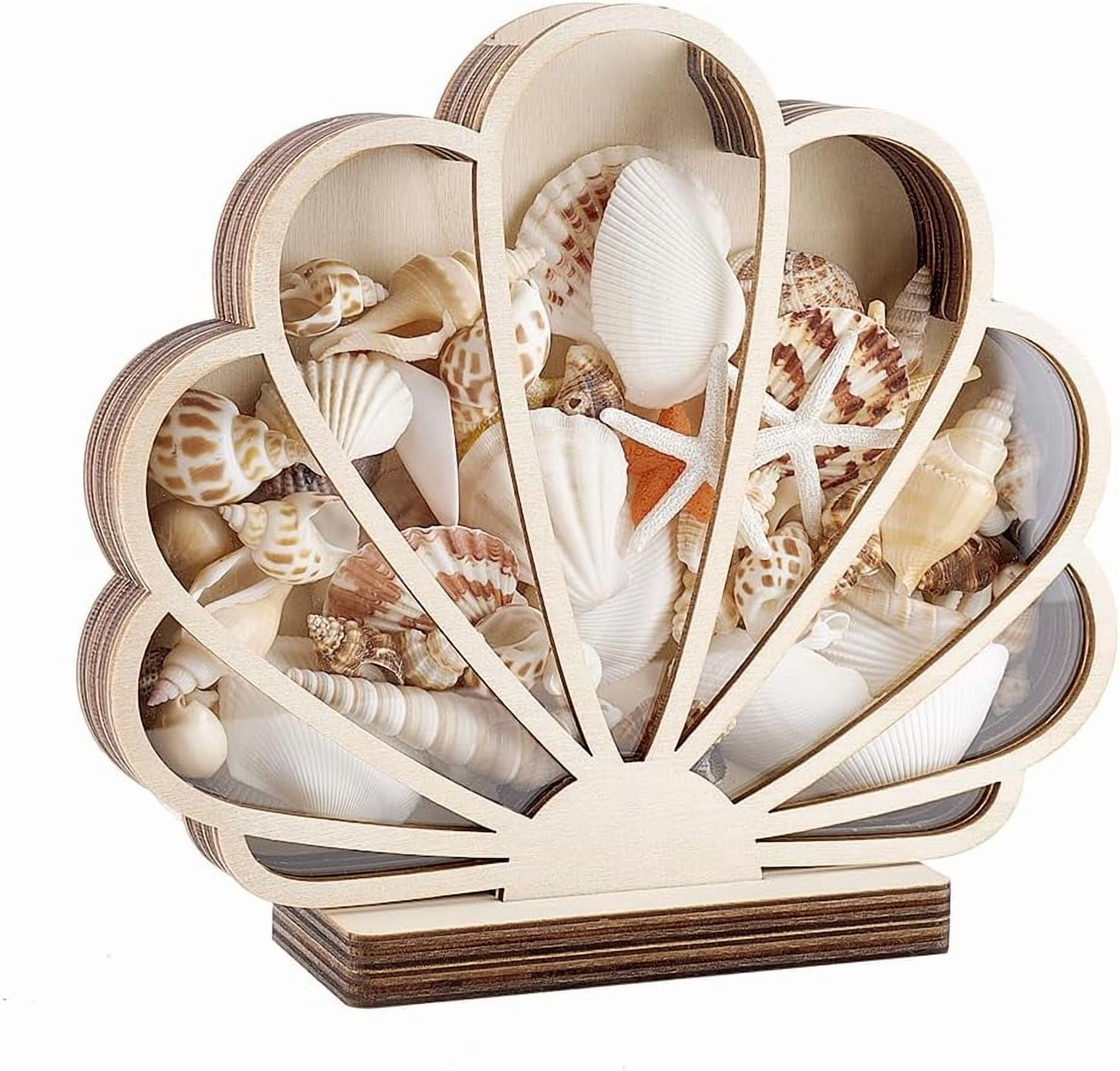 Shell Display Case 7.8x7 inch Wooden Seashell Shadow Box with Clear ...