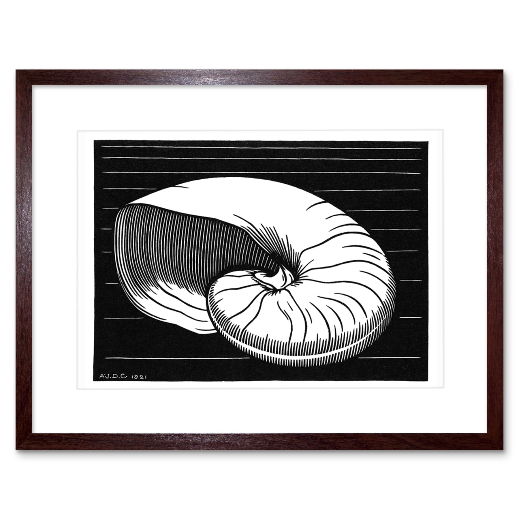 Shell Illustration Julie De Graag Art Print Framed Poster Wall Decor ...