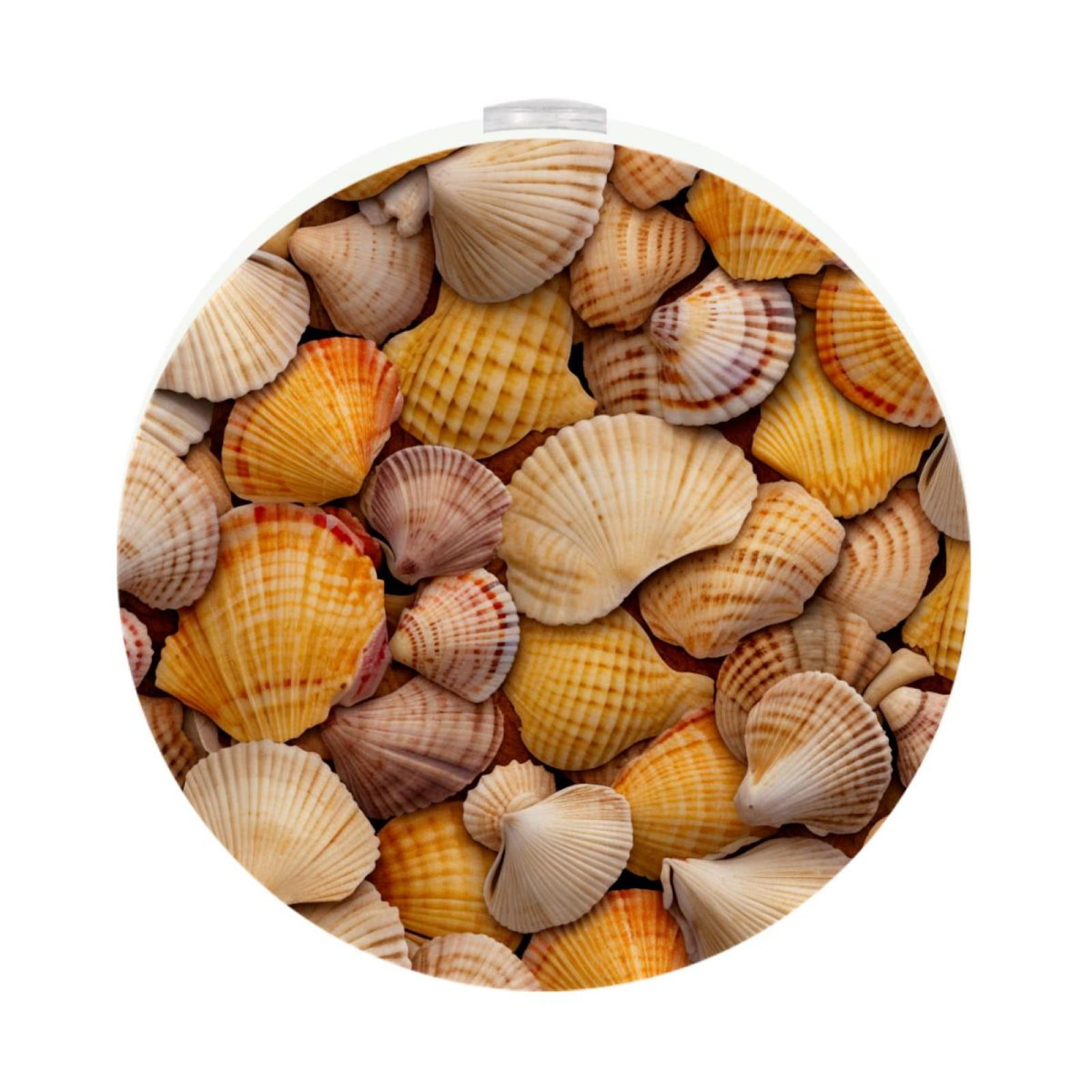 Shell LED Small Wall Light Night Lights, Set of 2, Induction Light ...