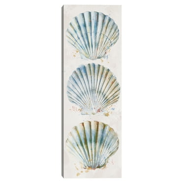 Shell Panel II by Studio Arts Canvas Art Print - Walmart.com