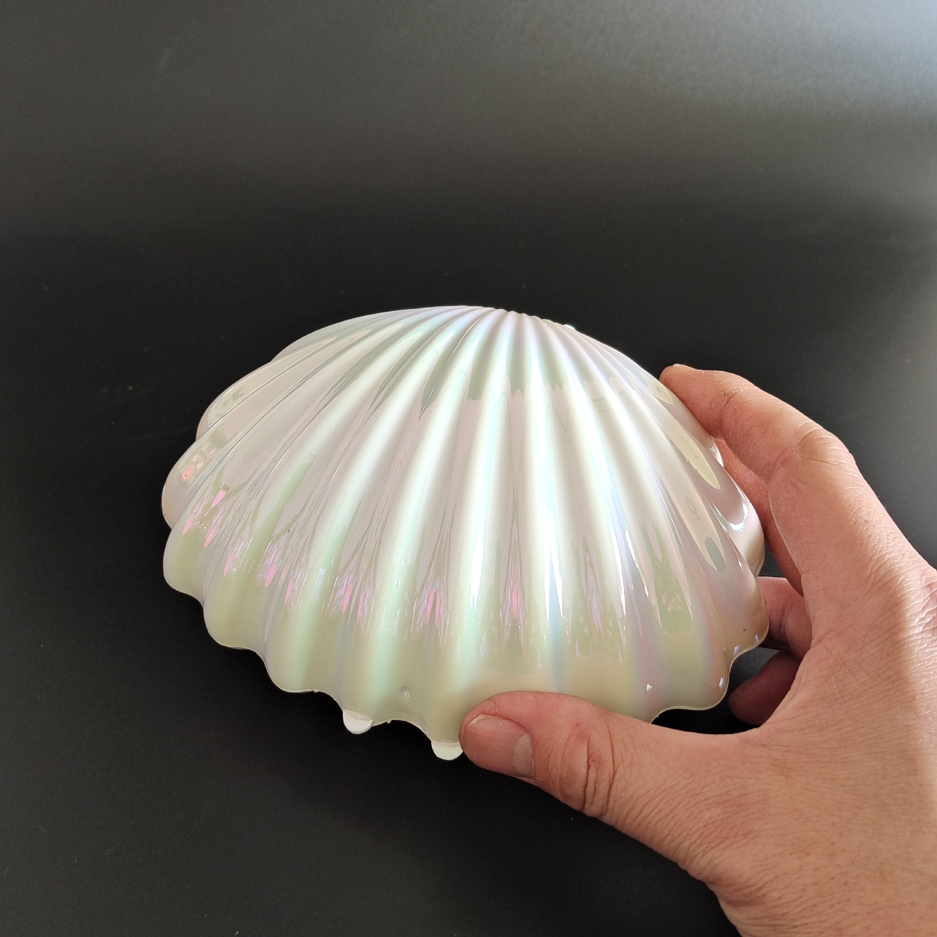 Shell Shaped Candy Box Shell Storage Container Jewelry Box Wedding ...