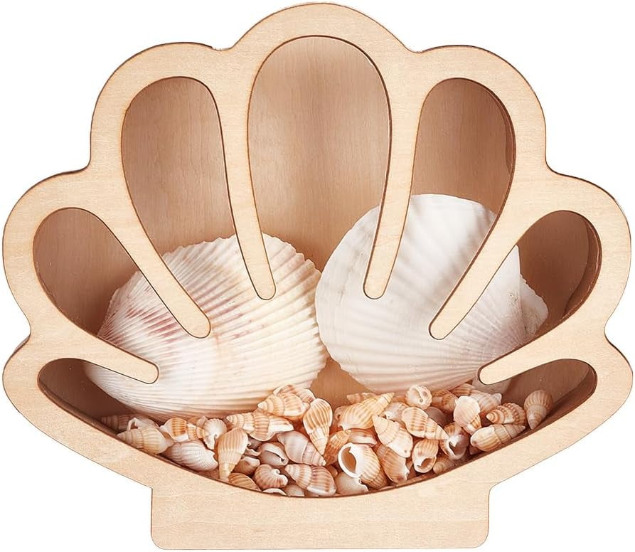 Shell Shaped Wooden Sea Shell Storage Display Cases with Visible Window ...