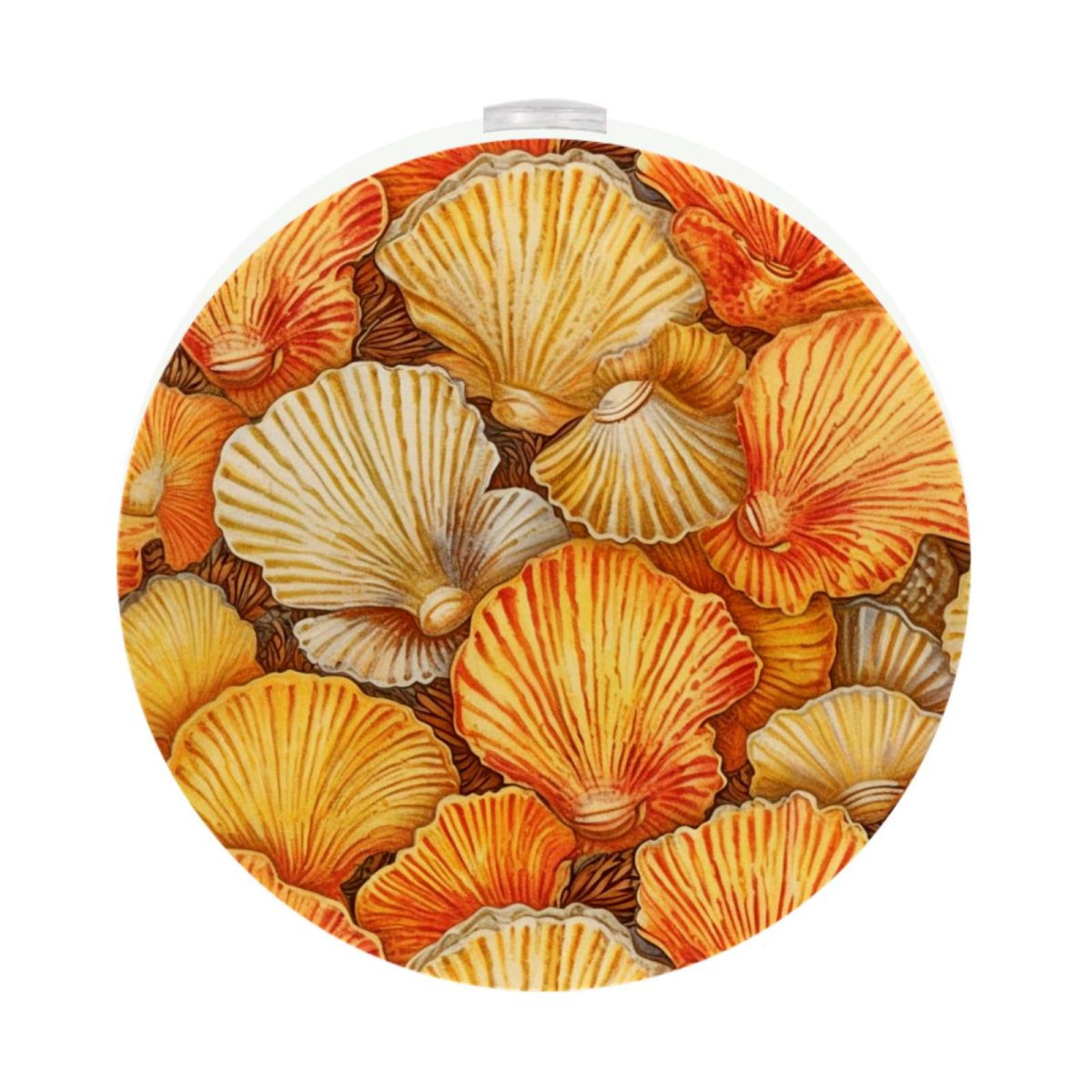 Shell Small LED Lights - Two Set Circular Night Light, Induction Light ...