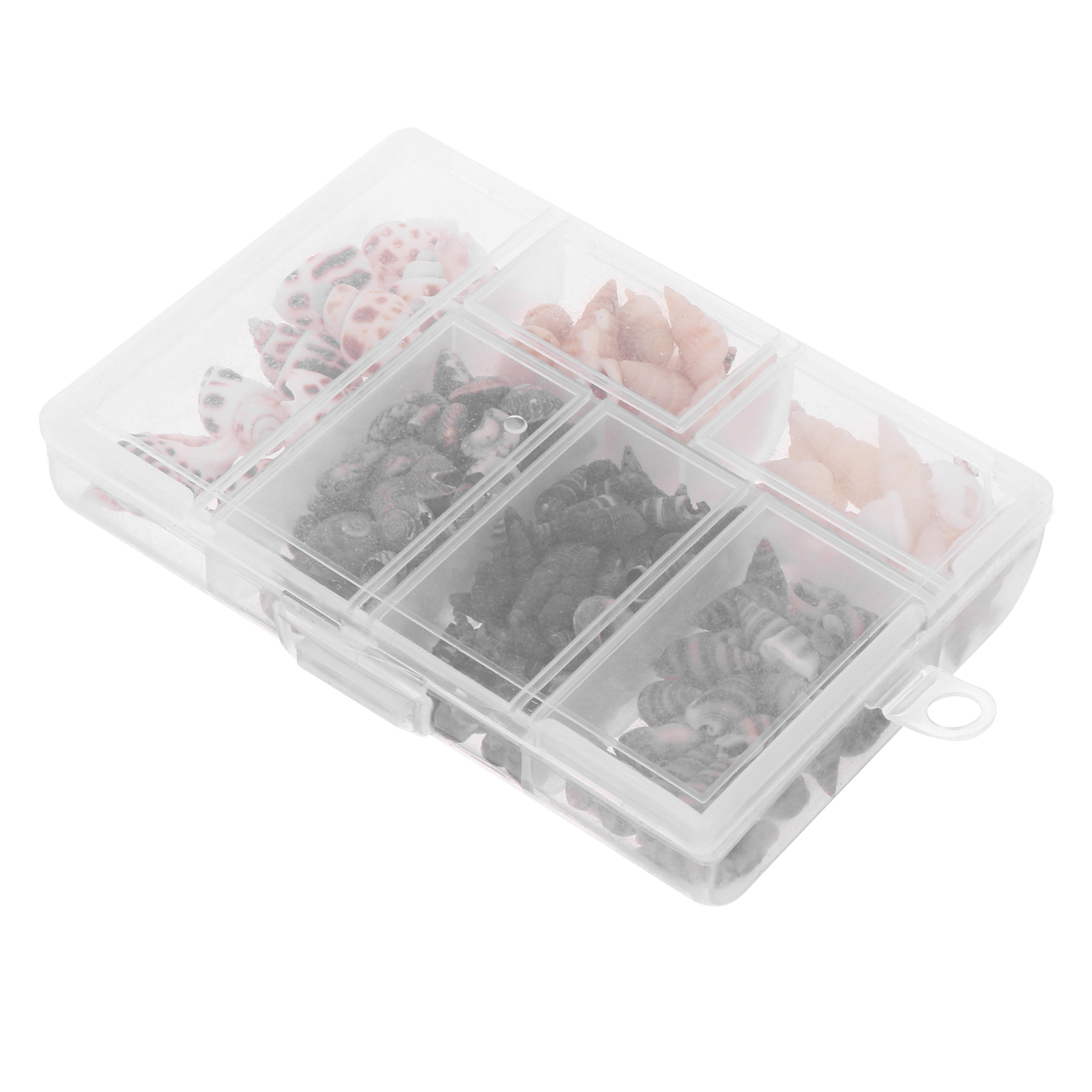 Shell conch Ornaments, 1 Box Creative Natural Conch Shell Tank ...