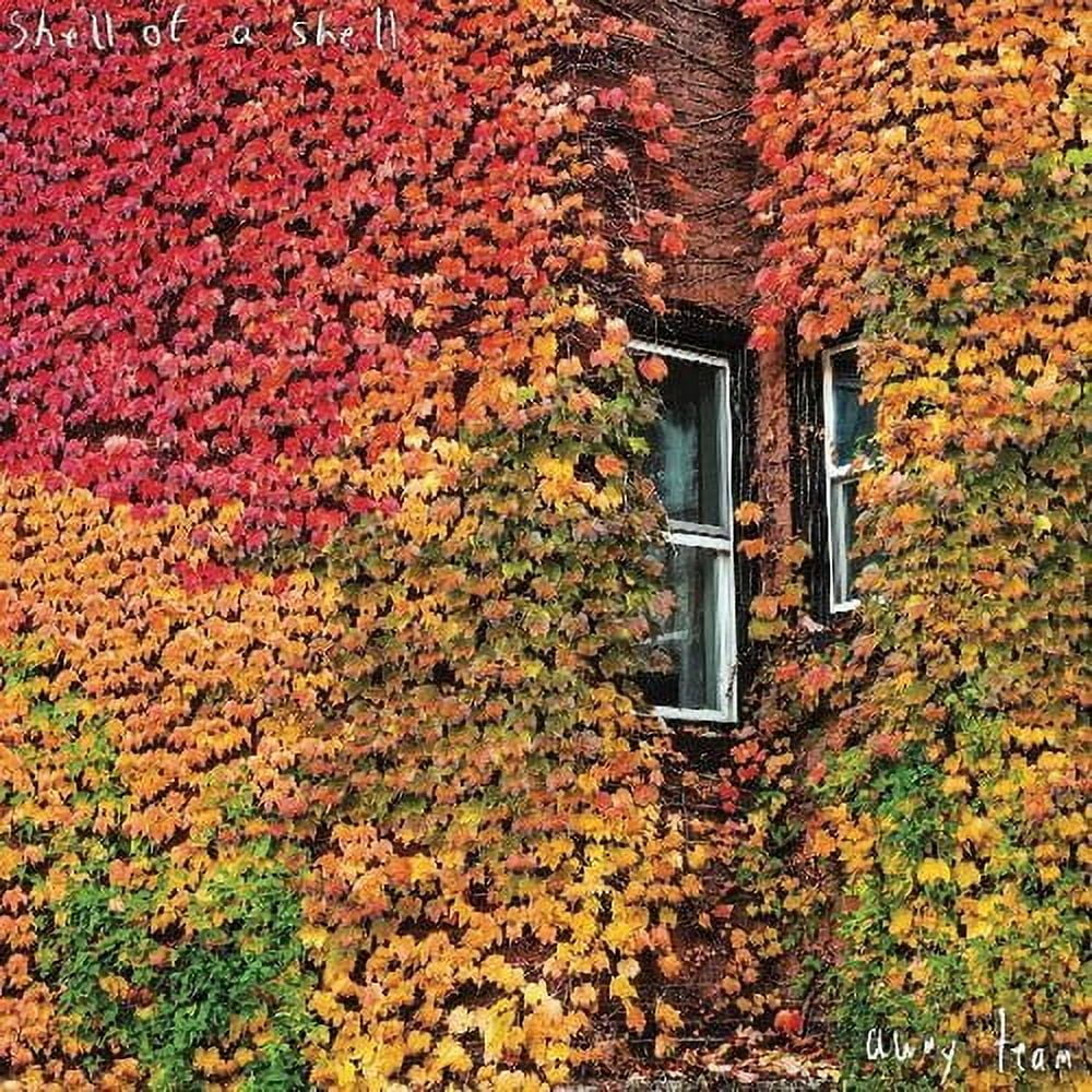 Shell of a Shell - Away Team - Music & Performance - Vinyl - Walmart.com