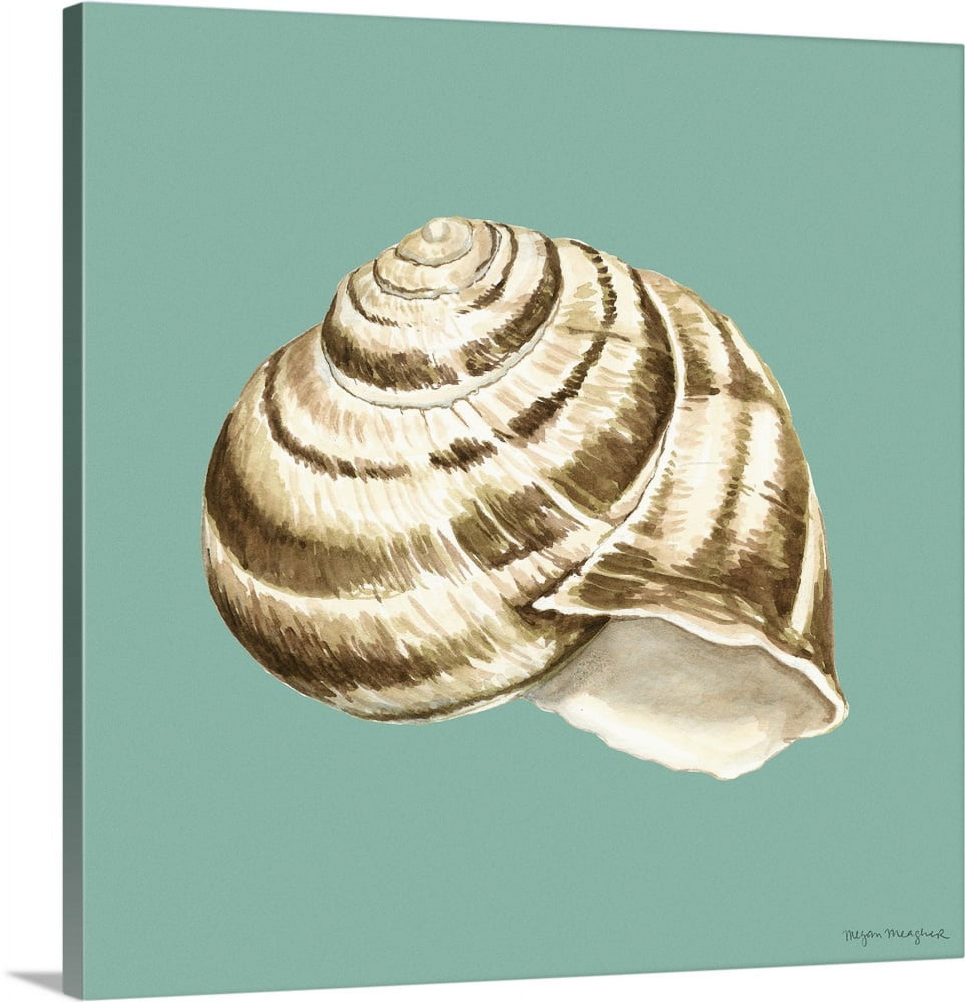 Shell on Aqua I | Canvas Wall Art, Coastal Home Decor | 16x16 - Walmart.com