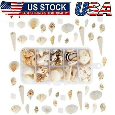 Shell Vase Filler | Imperfect Seashells Mixed Beach Seashells B Quality ...