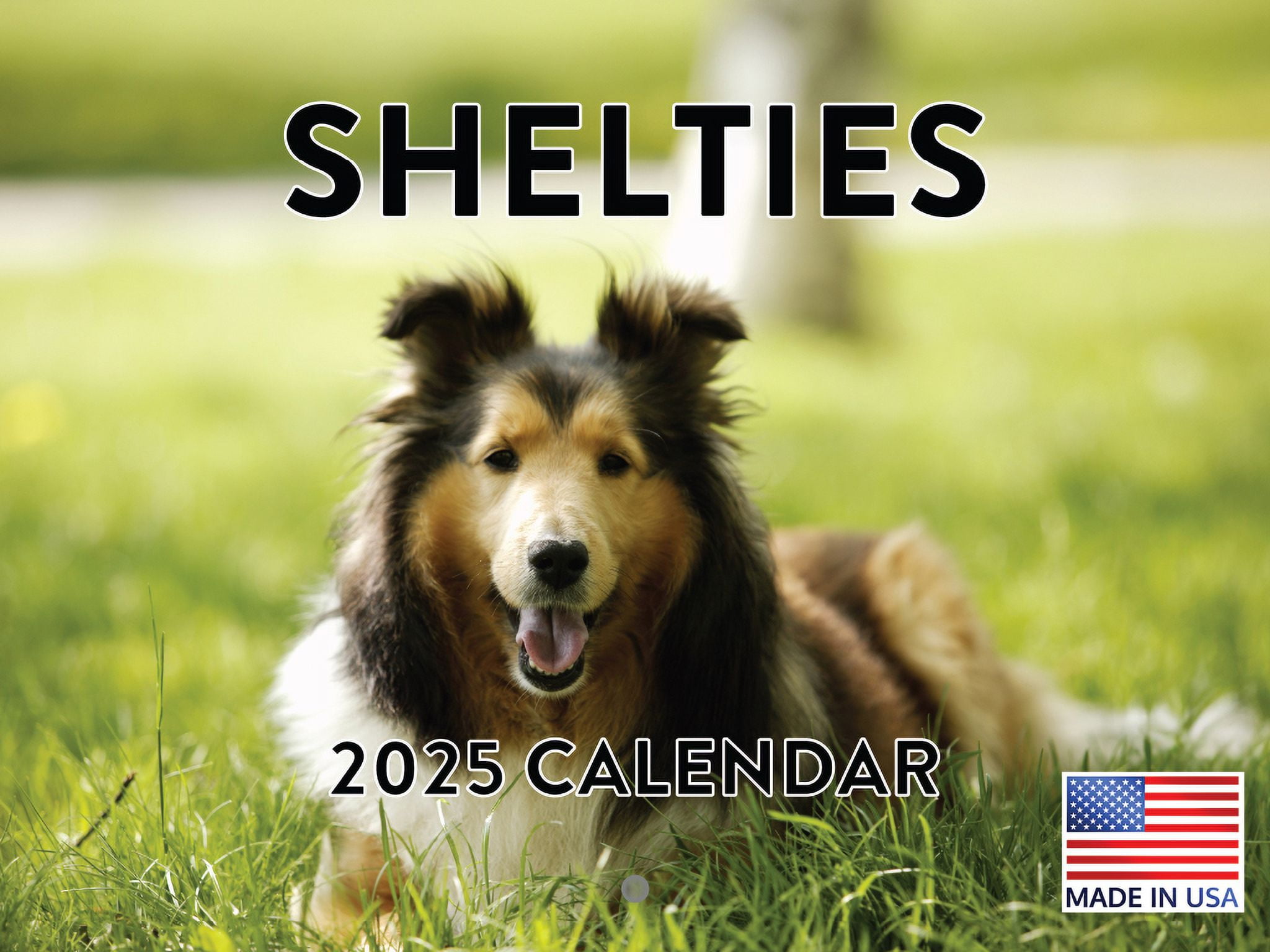 Sheltie Calendar 2025 Shetland Sheepdogs Monthly Wall Calender 12 Month ...