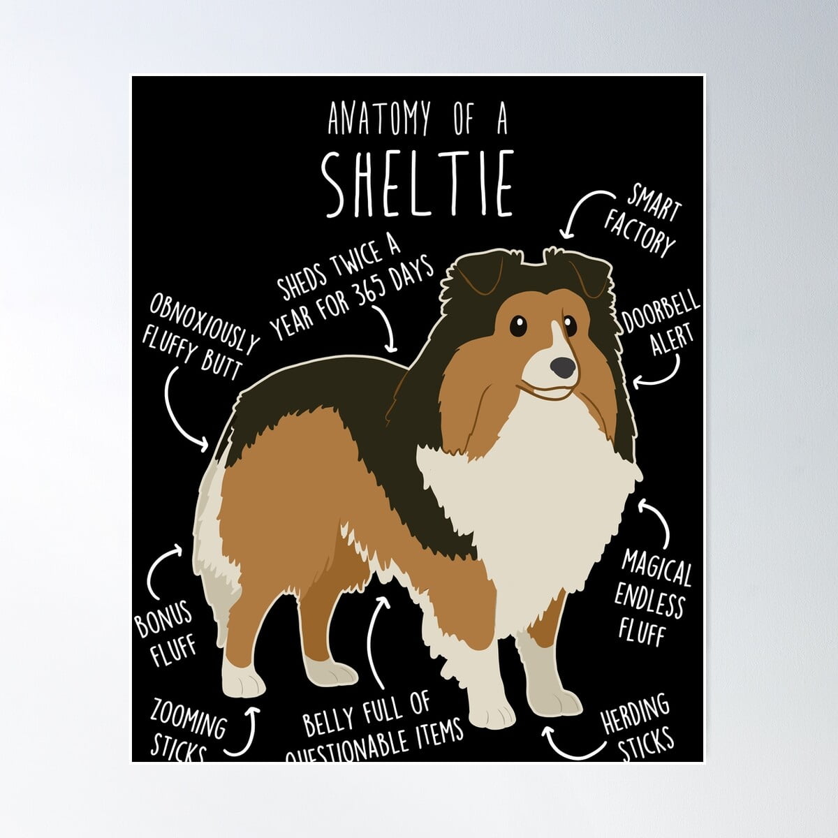 Sheltie Shetland Sheepdog Anatomy Poster, 12x18 UNFRAMED - Walmart.com