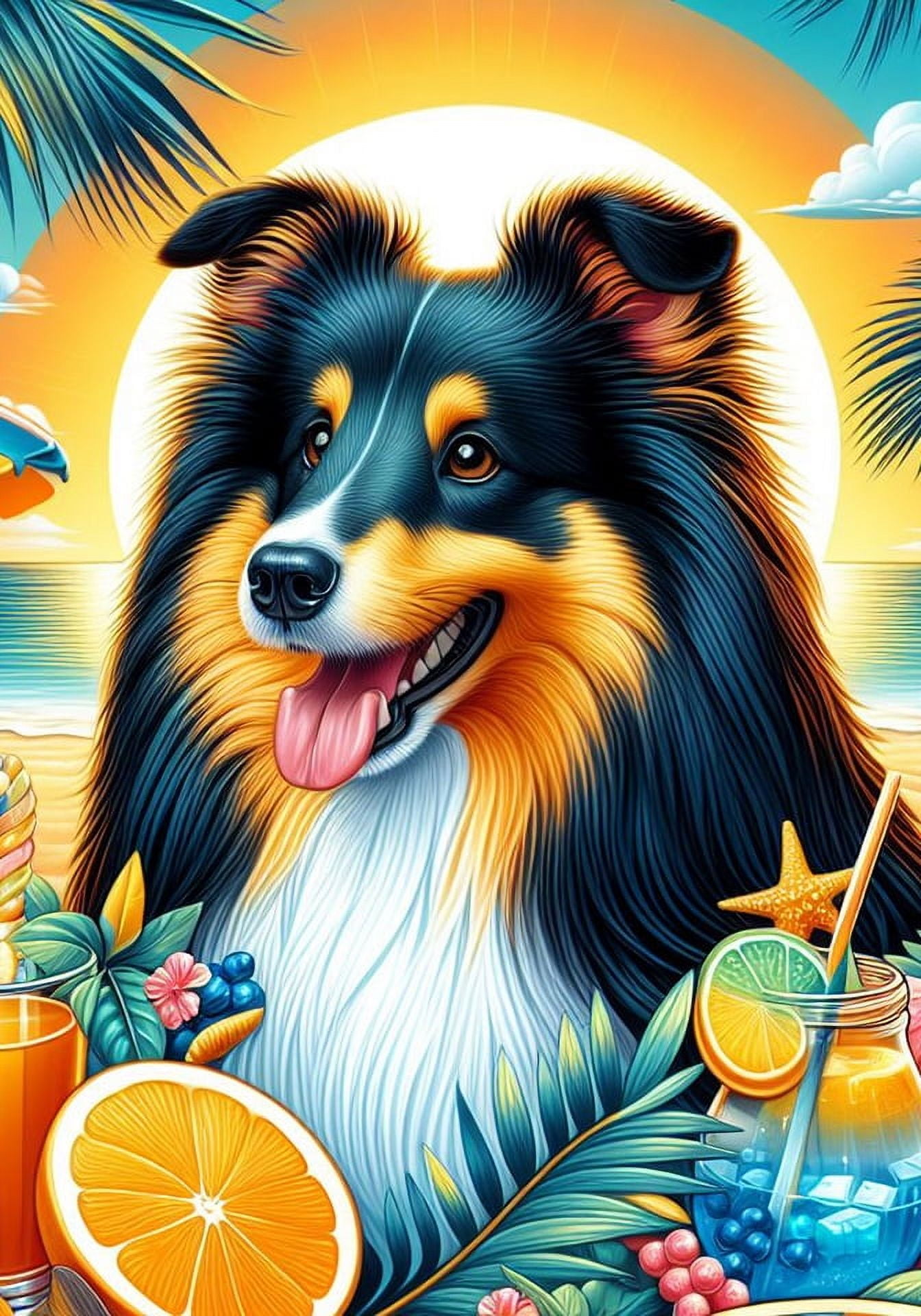 Sheltie Tri - Best of Breed DCR Summer Garden Flag 12" x 17" - Walmart ...