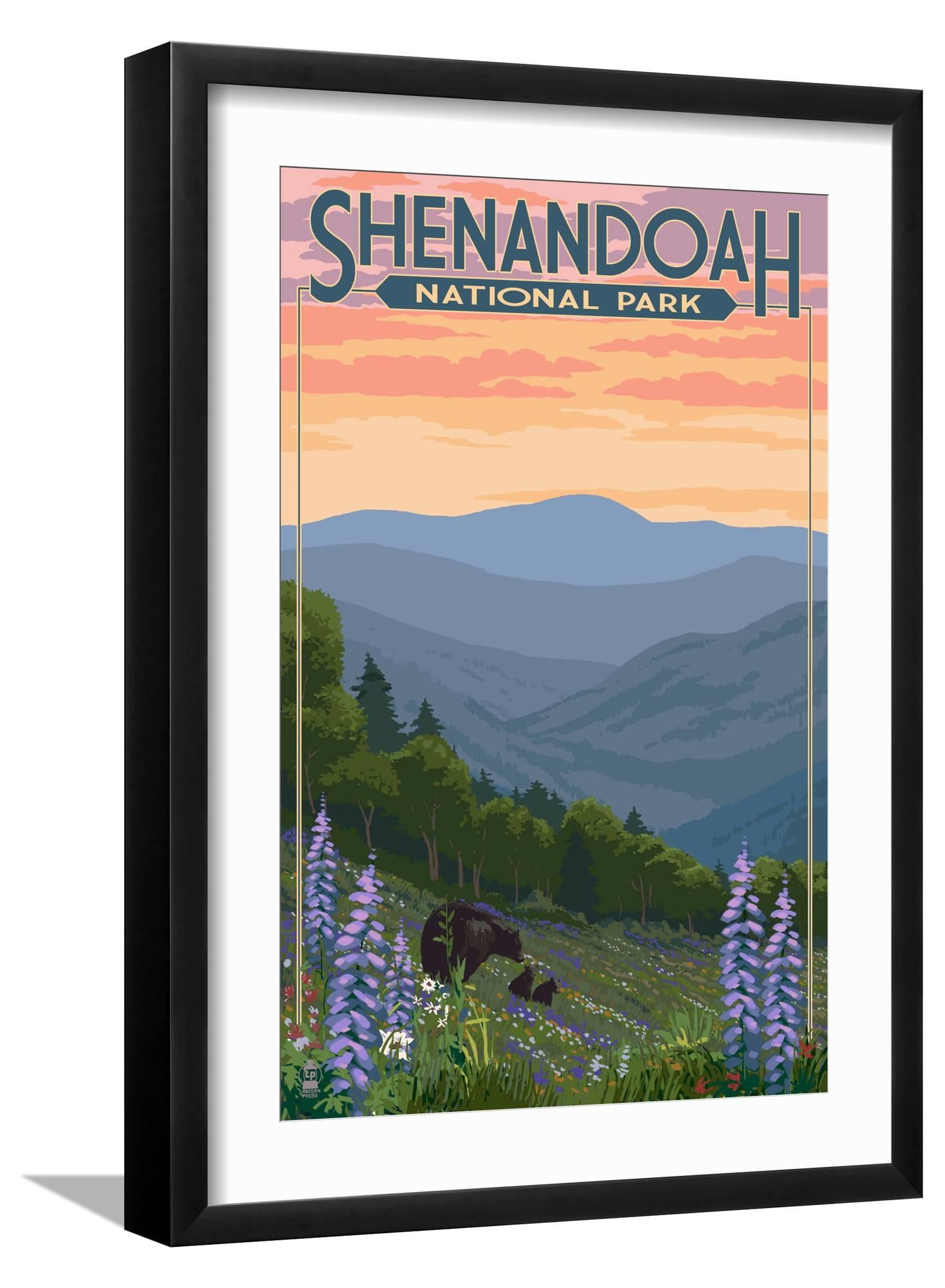 Art.com Shenandoah National Park, Virginia - Black Bear and Cubs Spring ...