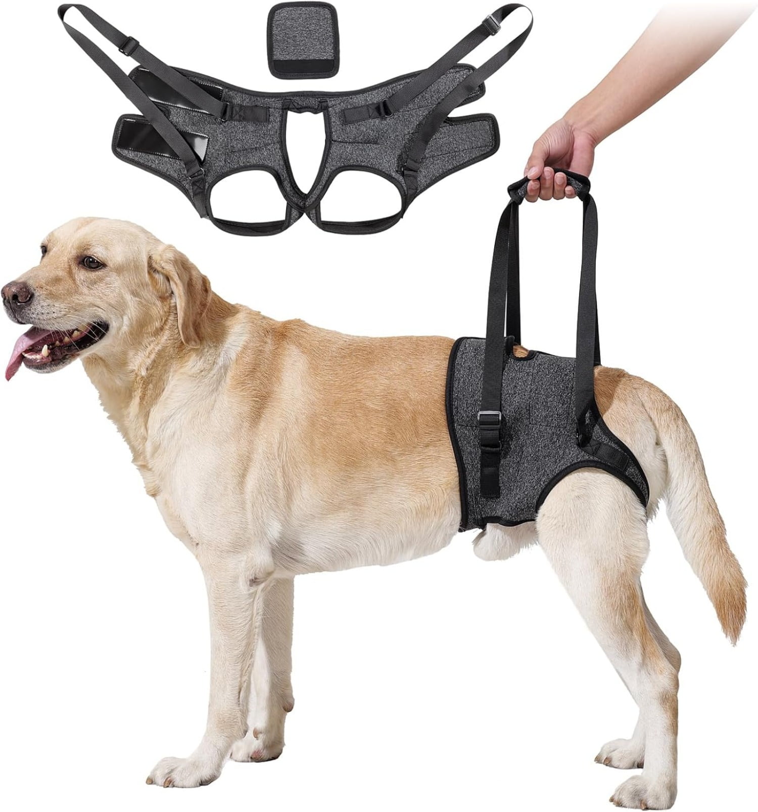 ShengVisions Large Dog Hind Leg Support Sling – Rehabilitation Harness ...