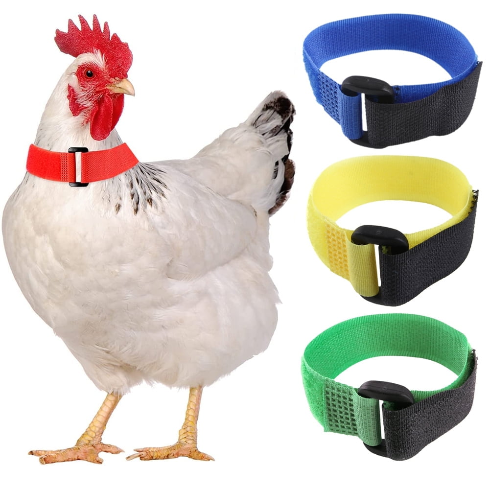 Shenmeida 6Pcs Upgrade Anti Crow Rooster Collar, Chicken Neckband Noise ...