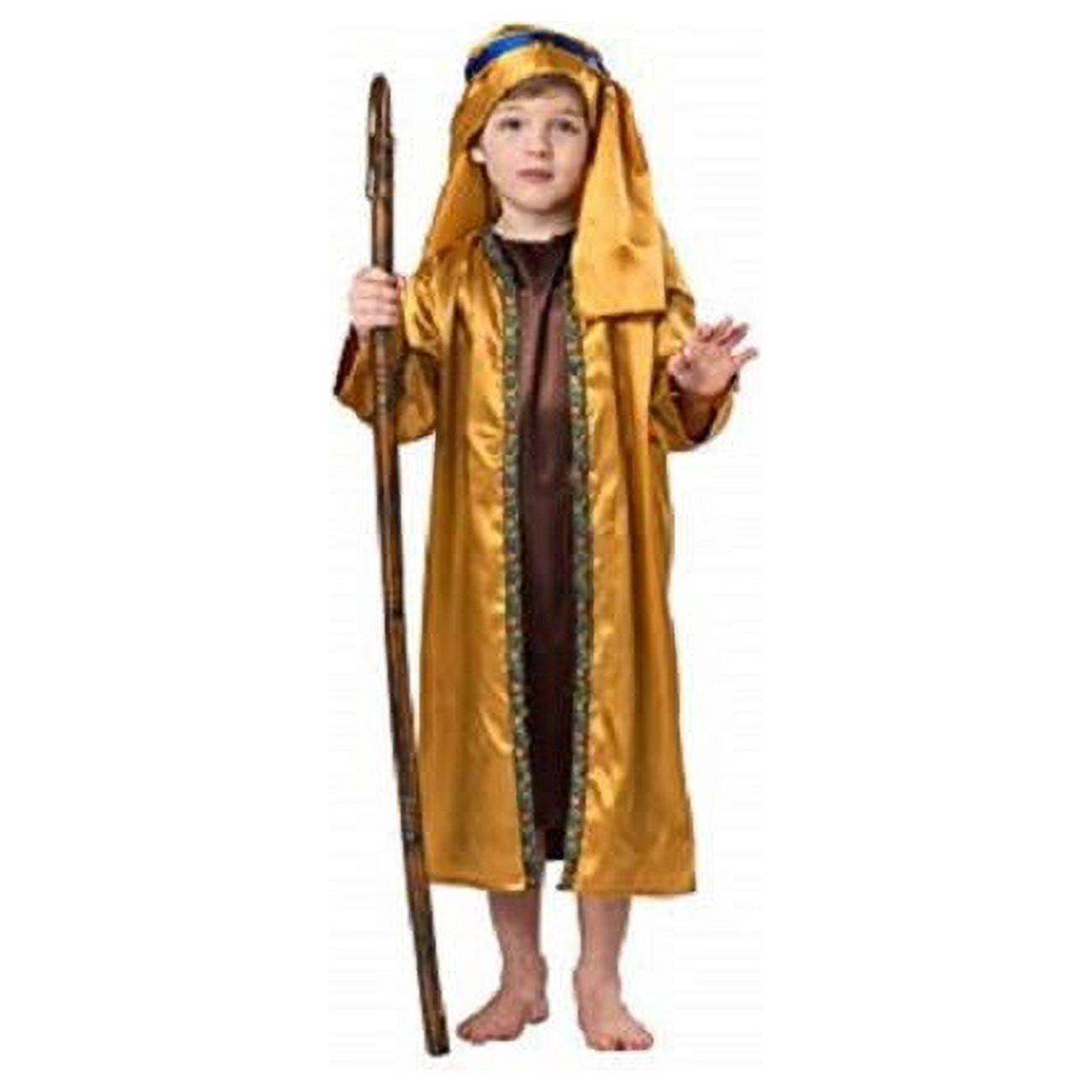 Shepherd Costume with Robe Coat Headpiece & Crook, Brown -Small ...